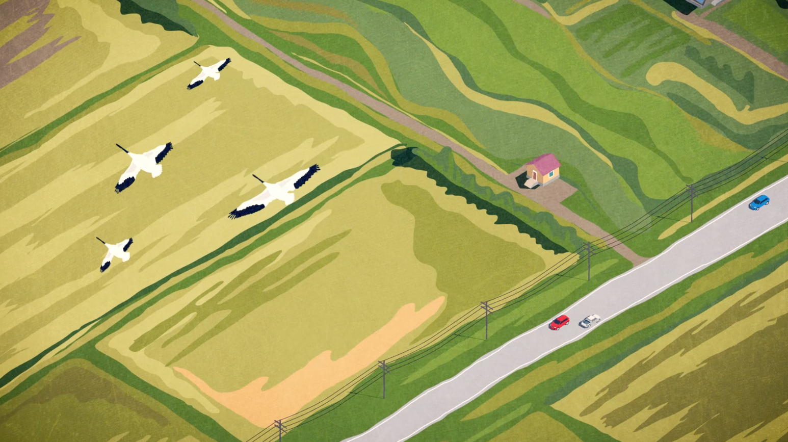 Long Road | Foundation