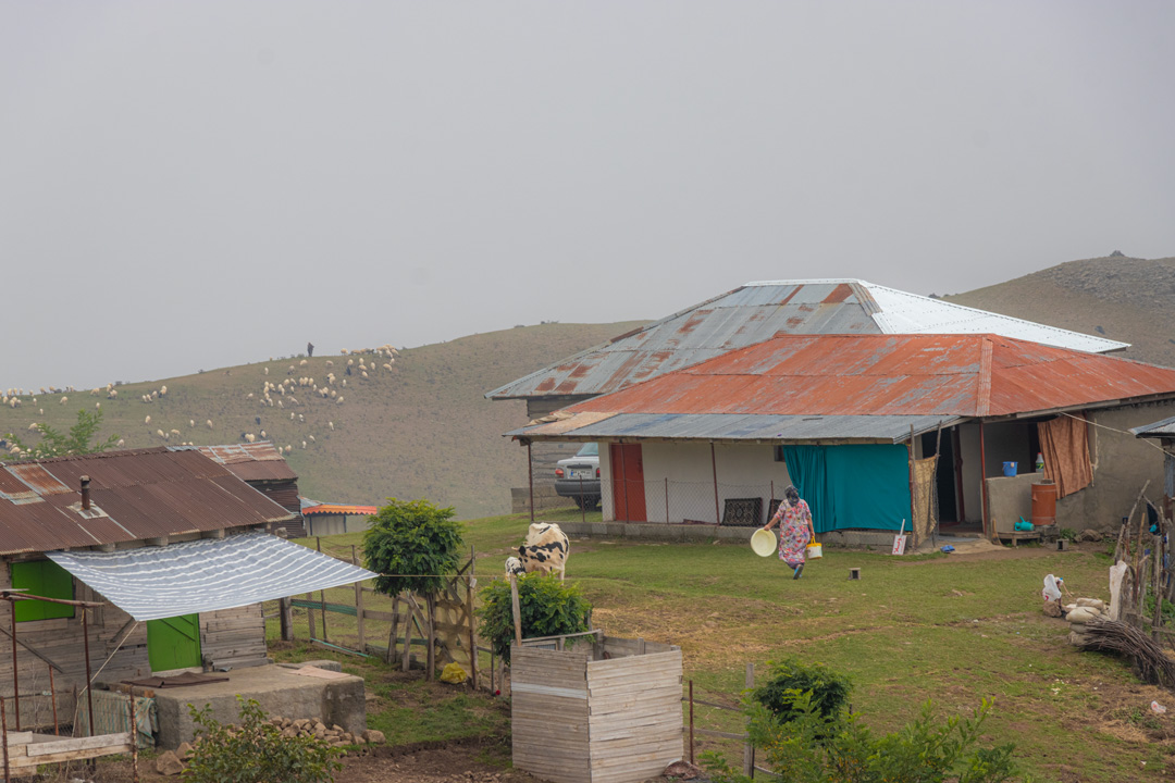 Free topic | Foundation