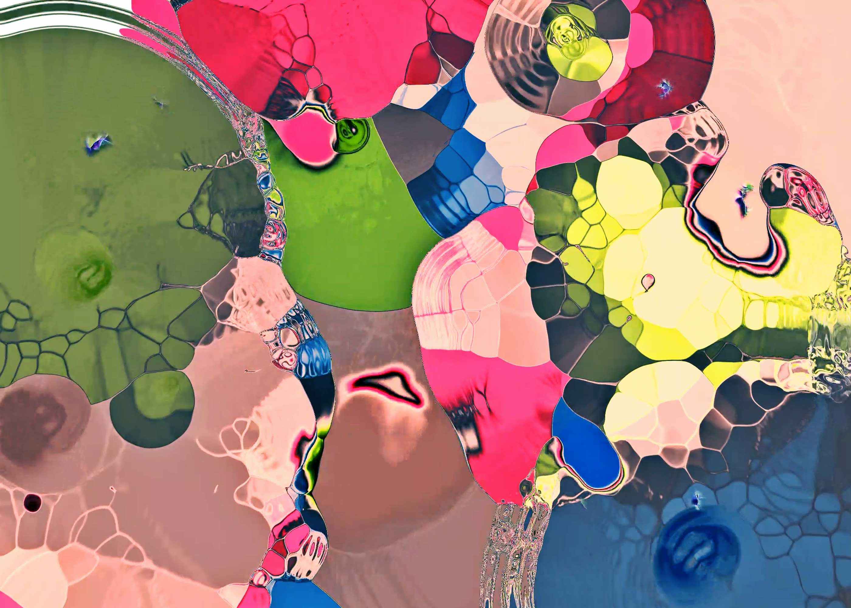 Wetware - Bacteria | Foundation