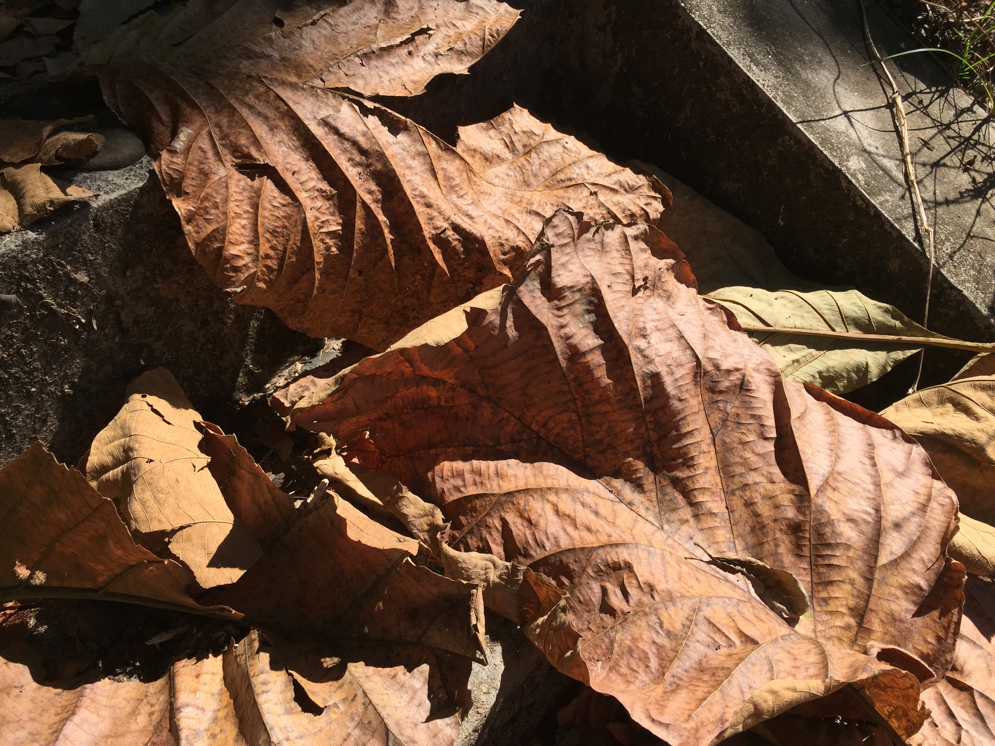 Texture has meaning | Foundation