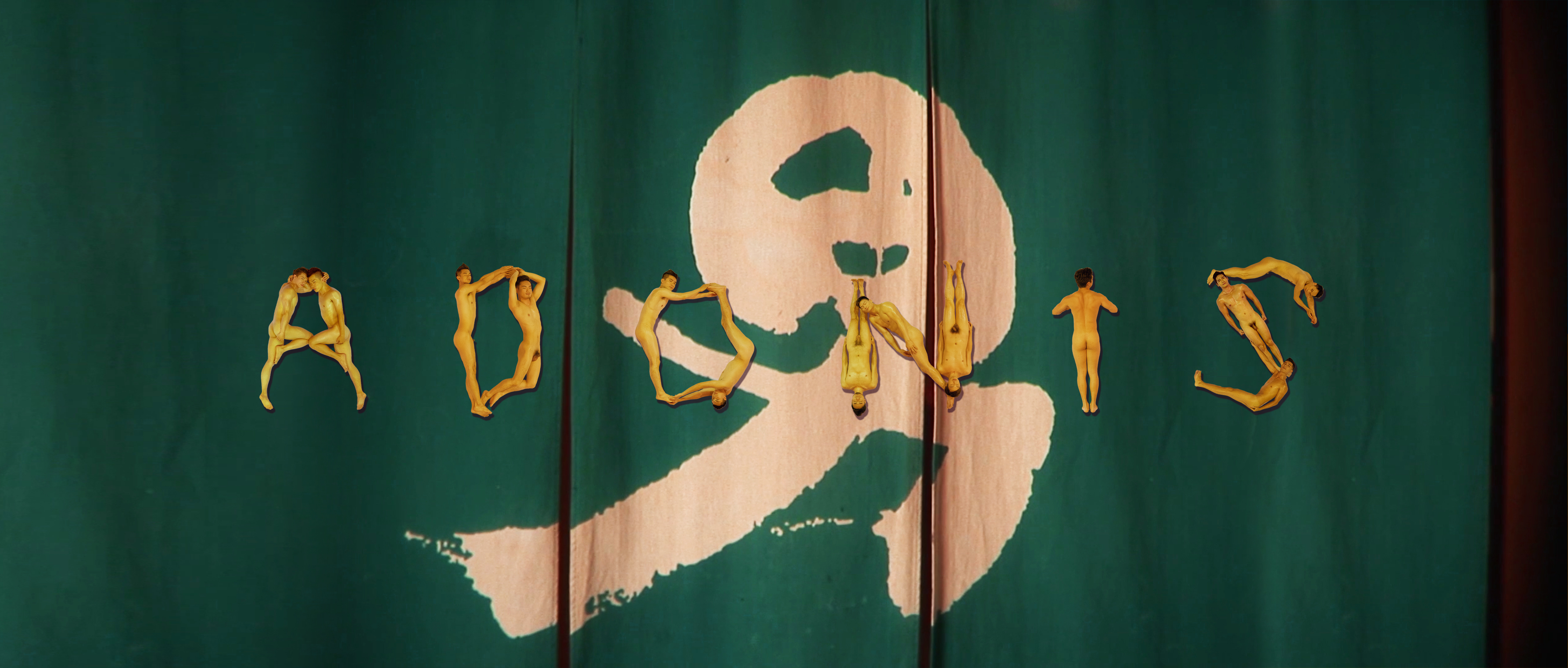 THIRTY YEARS OF ADONIS | Foundation