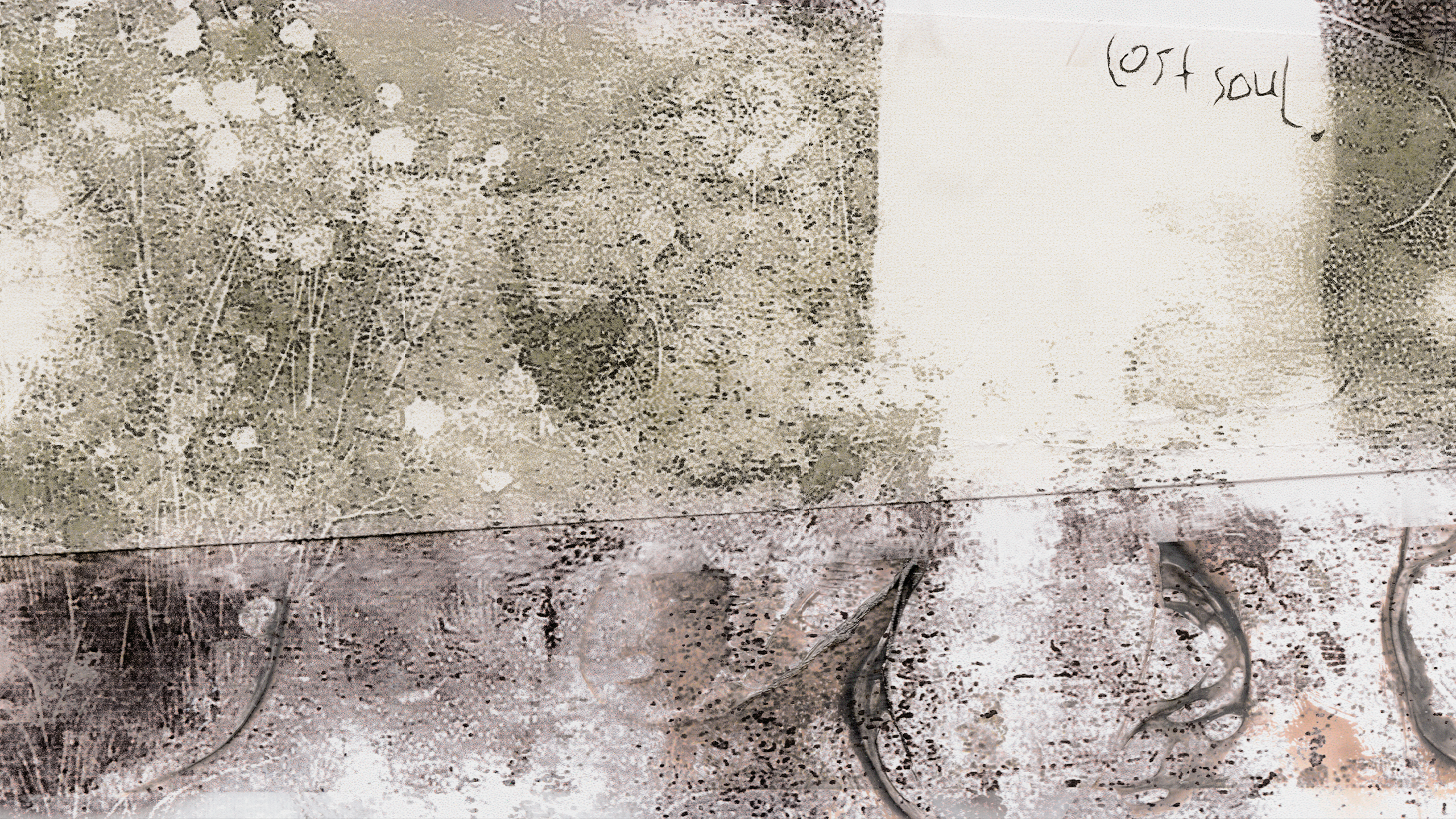 vision 1/1 | Foundation