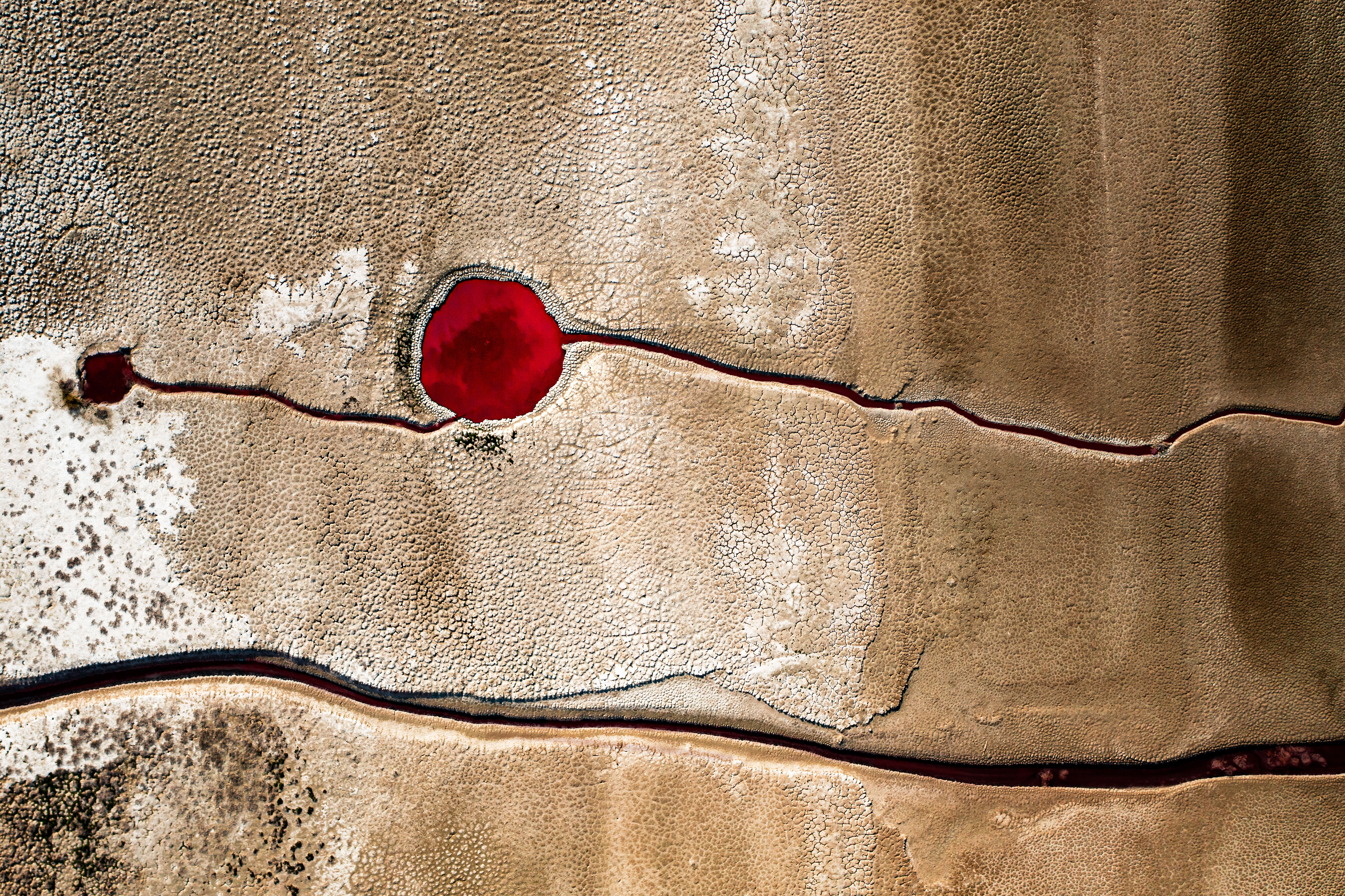 Earth Forms | Foundation