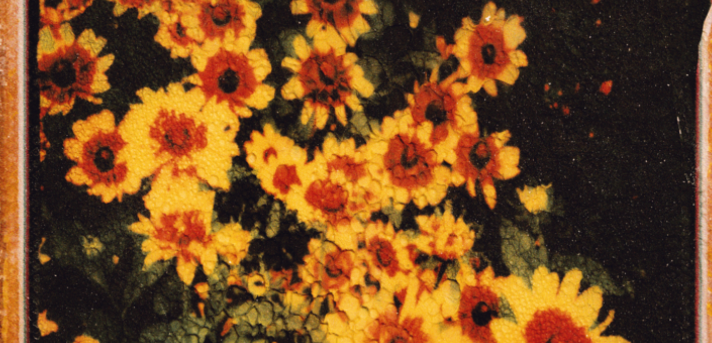 Polaroid Studies : The Flower Movement | Foundation