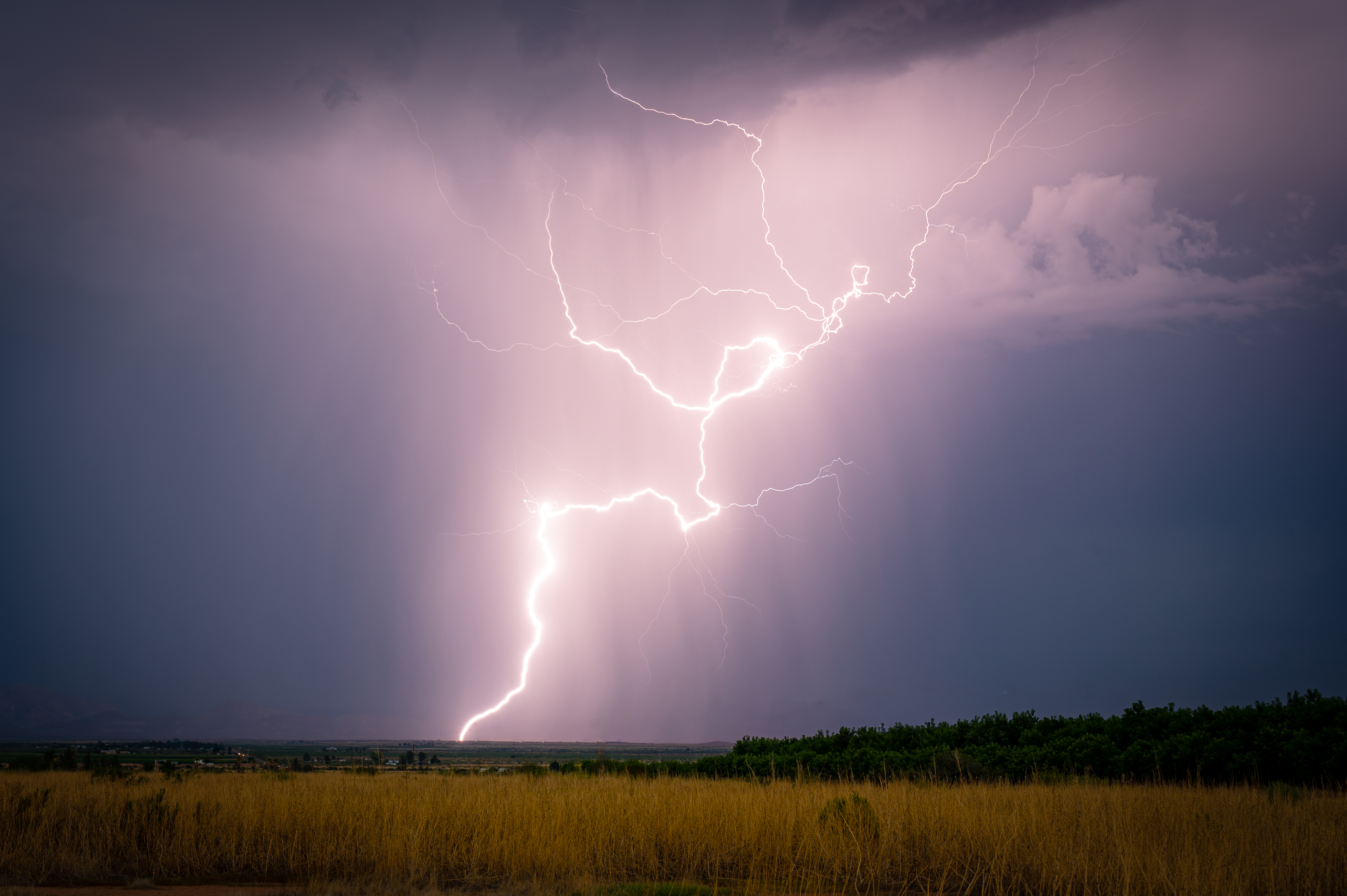 Born to Chase | Foundation