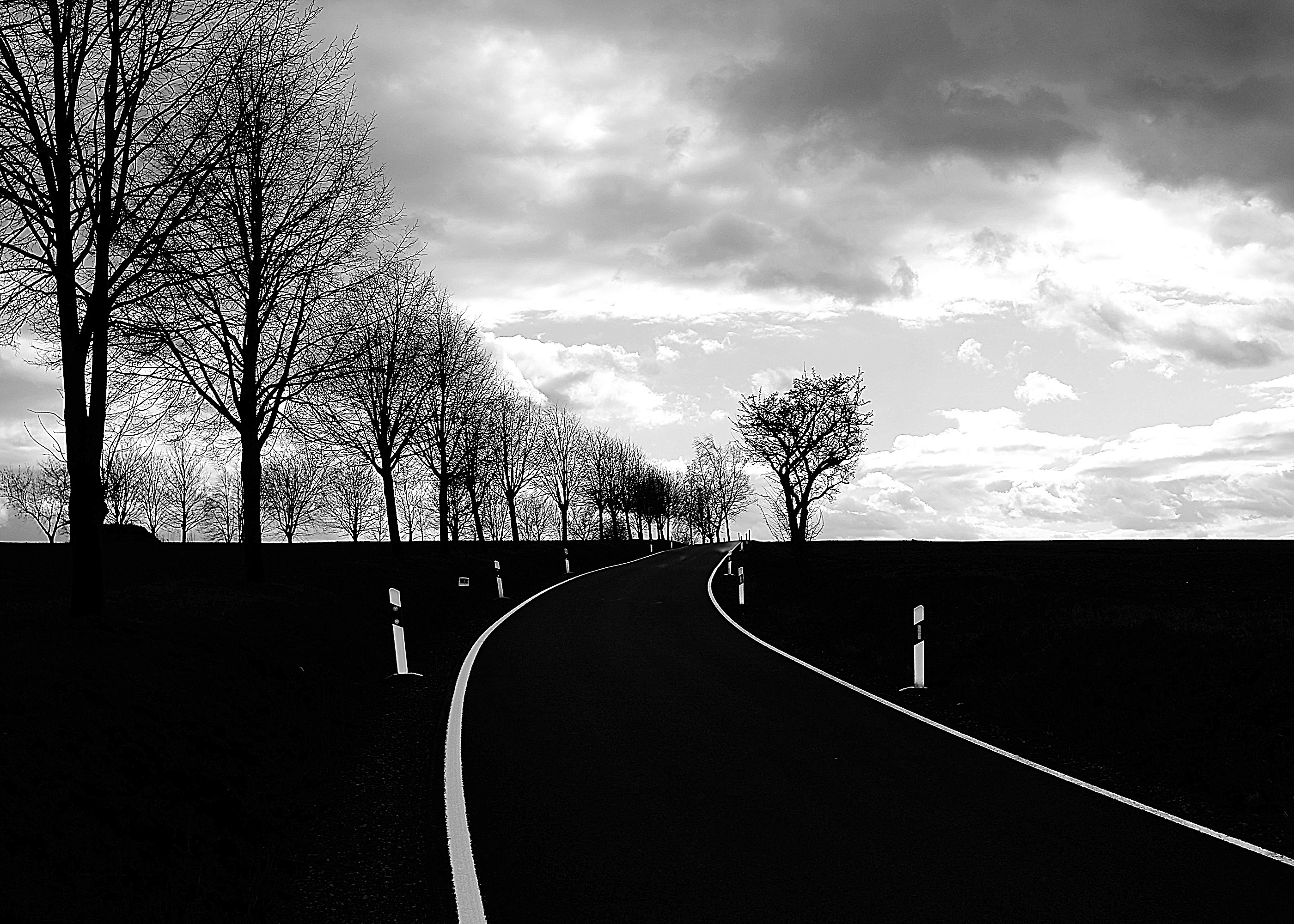 La Strada | Foundation