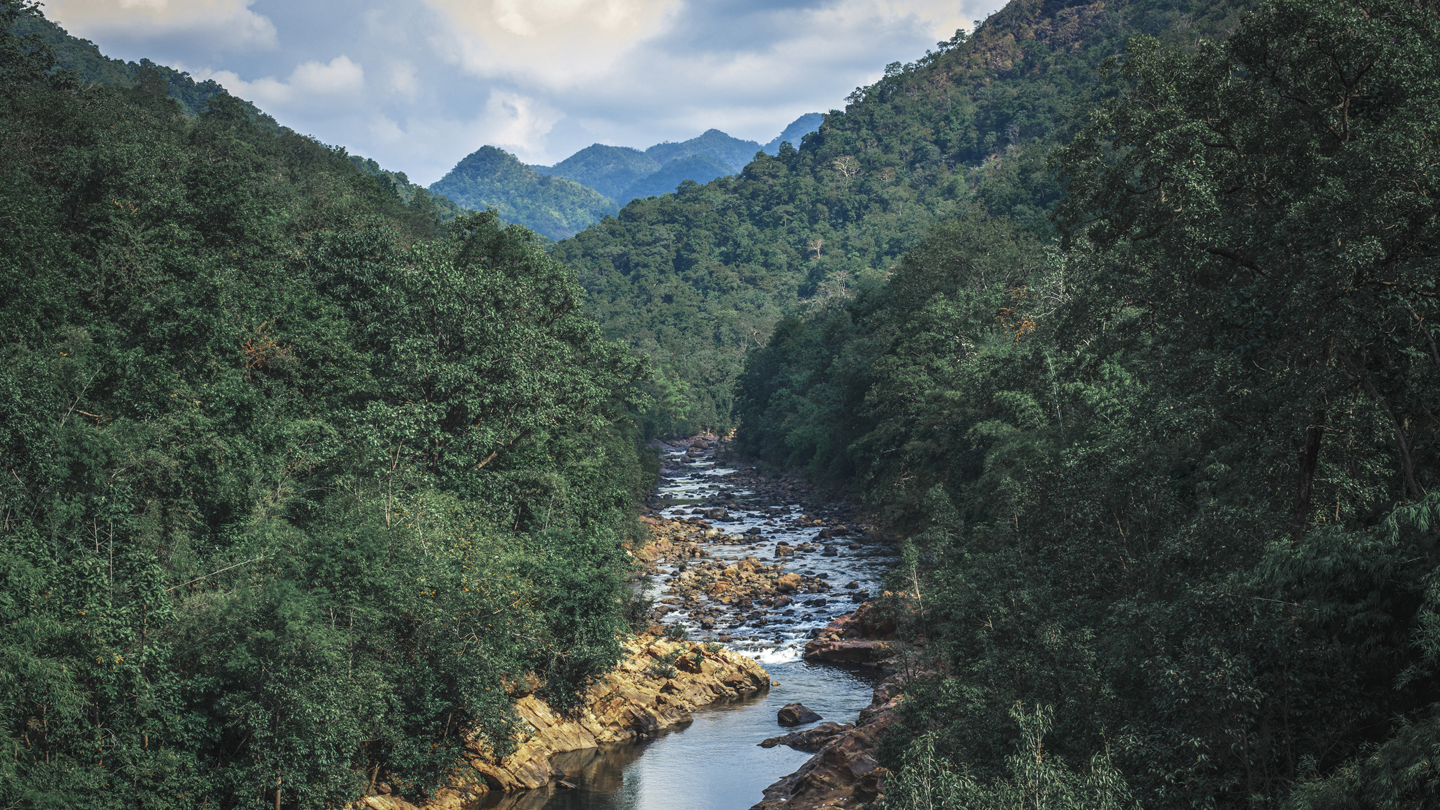 Maredumilli | Foundation