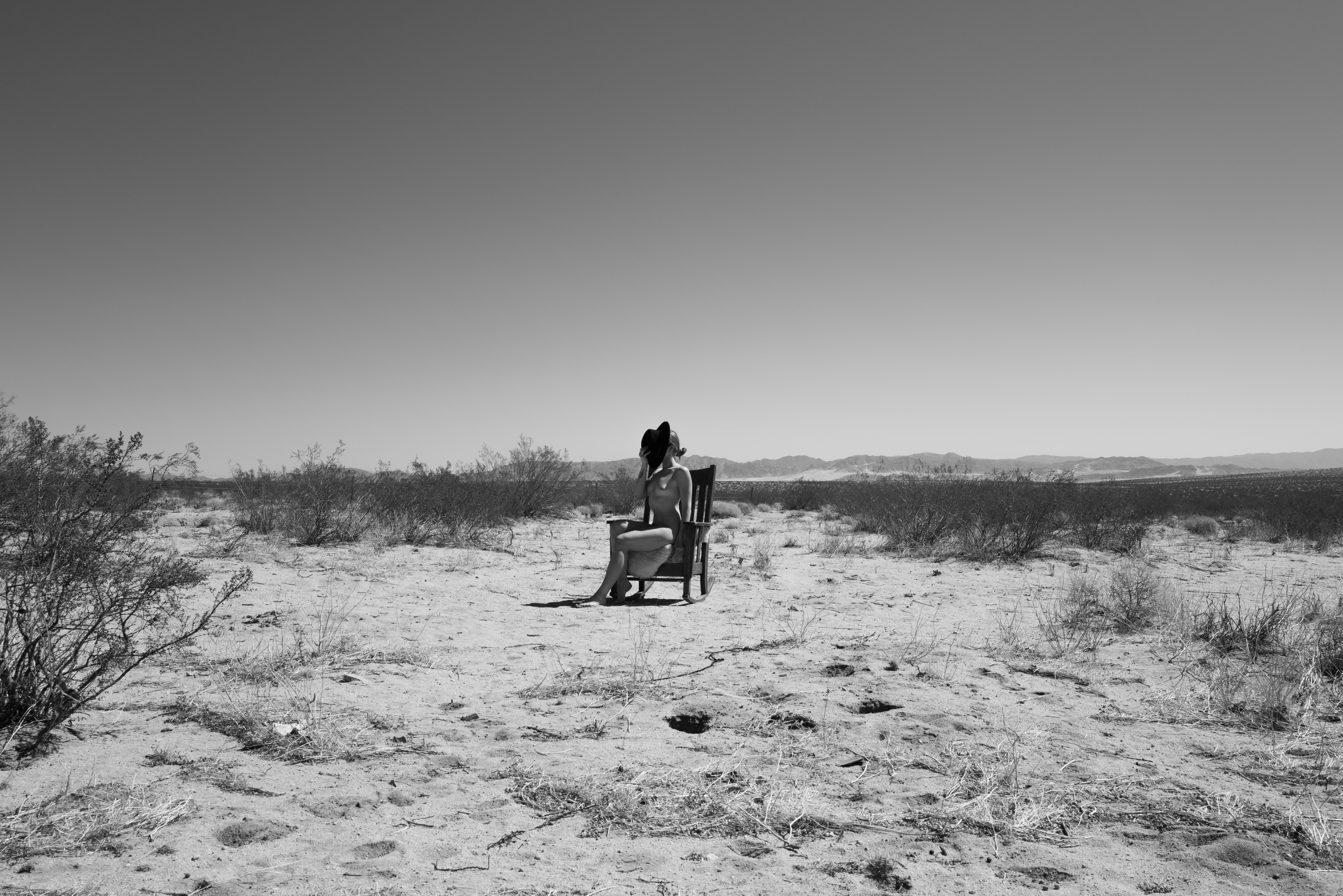 joshua tree | Foundation