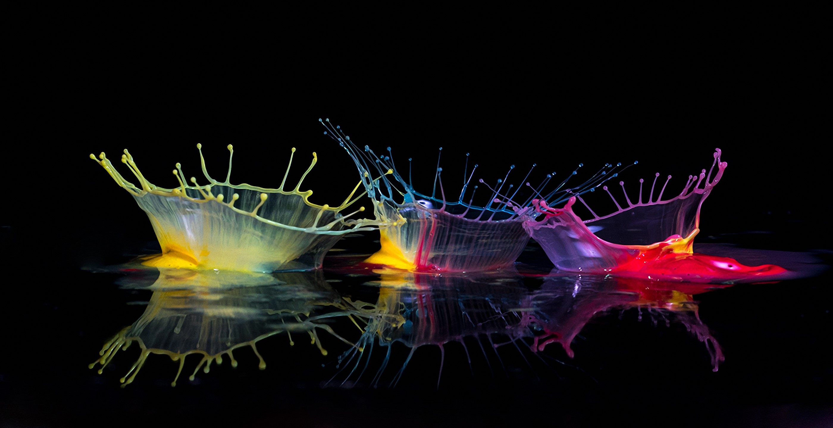 Liquidverse | Foundation