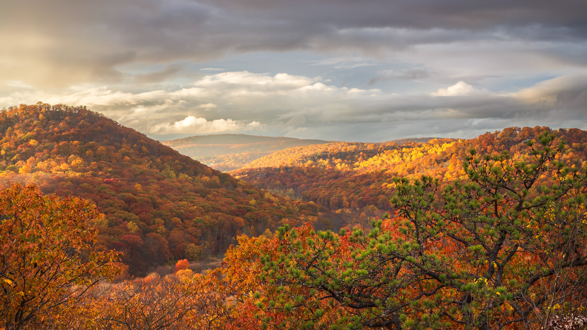 Emotional Landscapes | Foundation