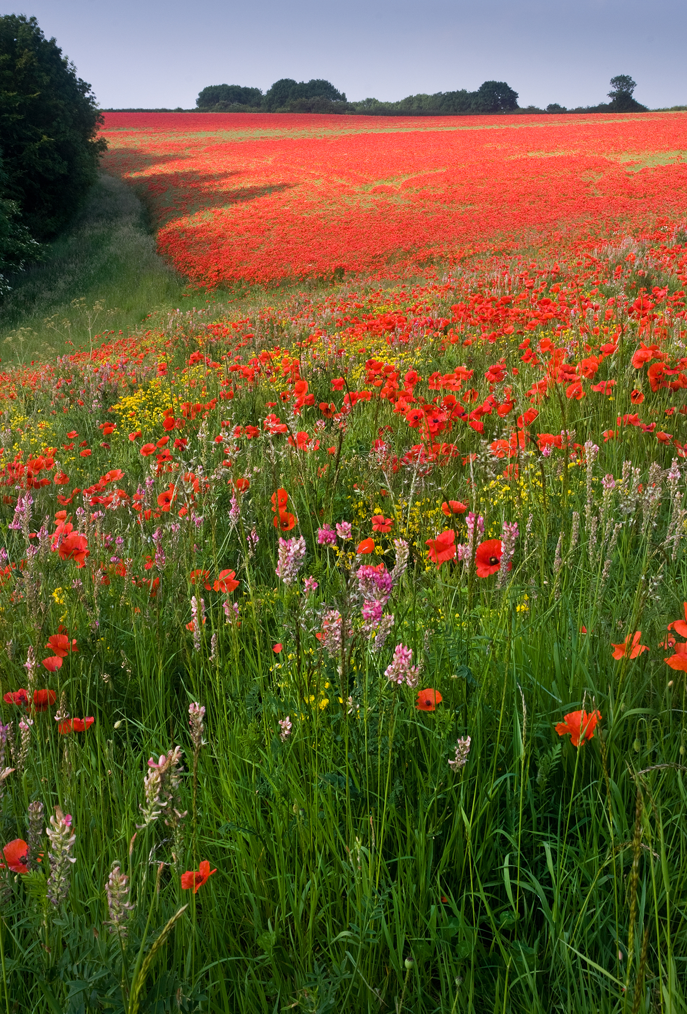 Launch Pad | Foundation