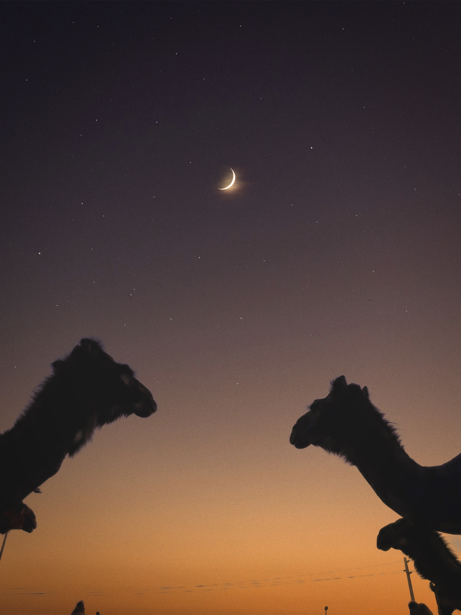 A PLACE OF SOLACE | Foundation