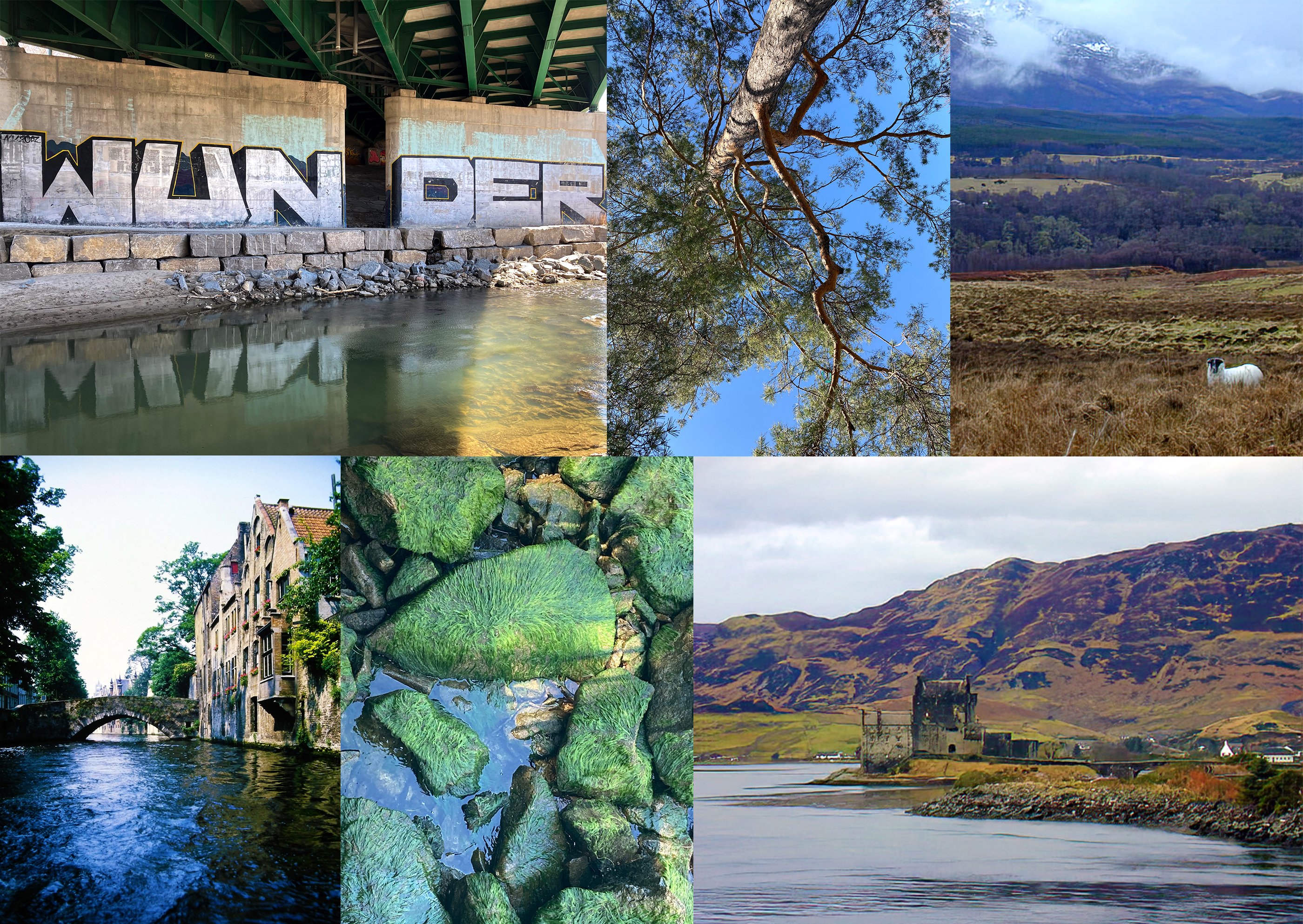 The Vault | Foundation