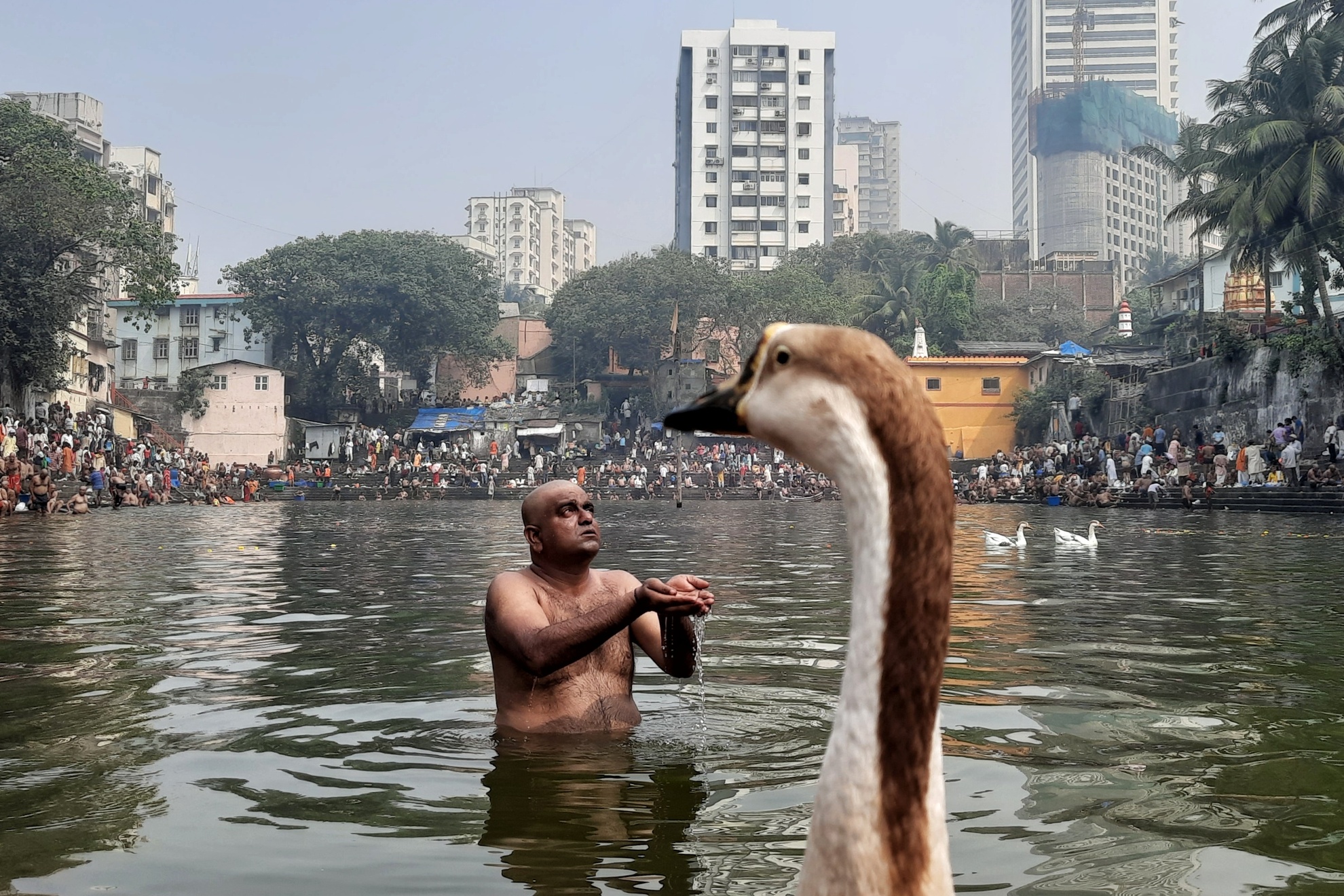 Nothing is Random | Foundation