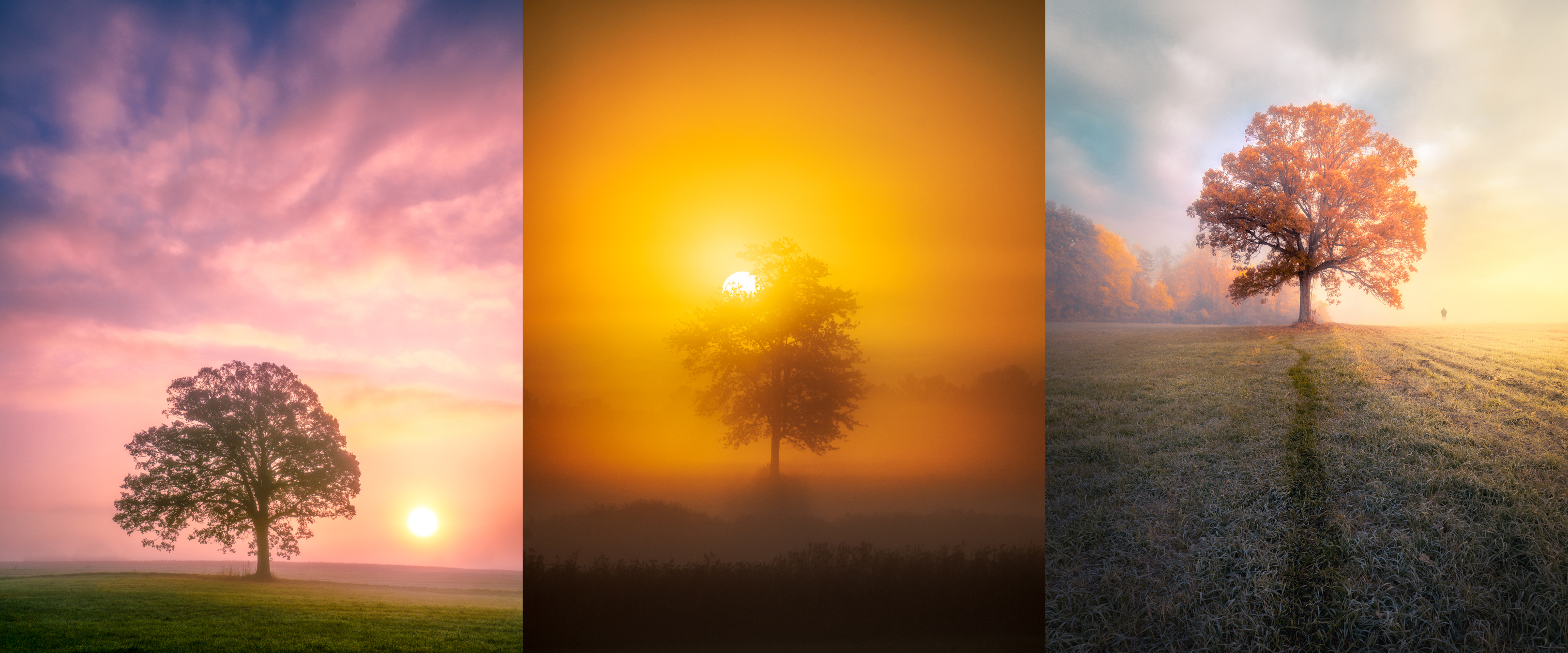 Fog Drip | Foundation