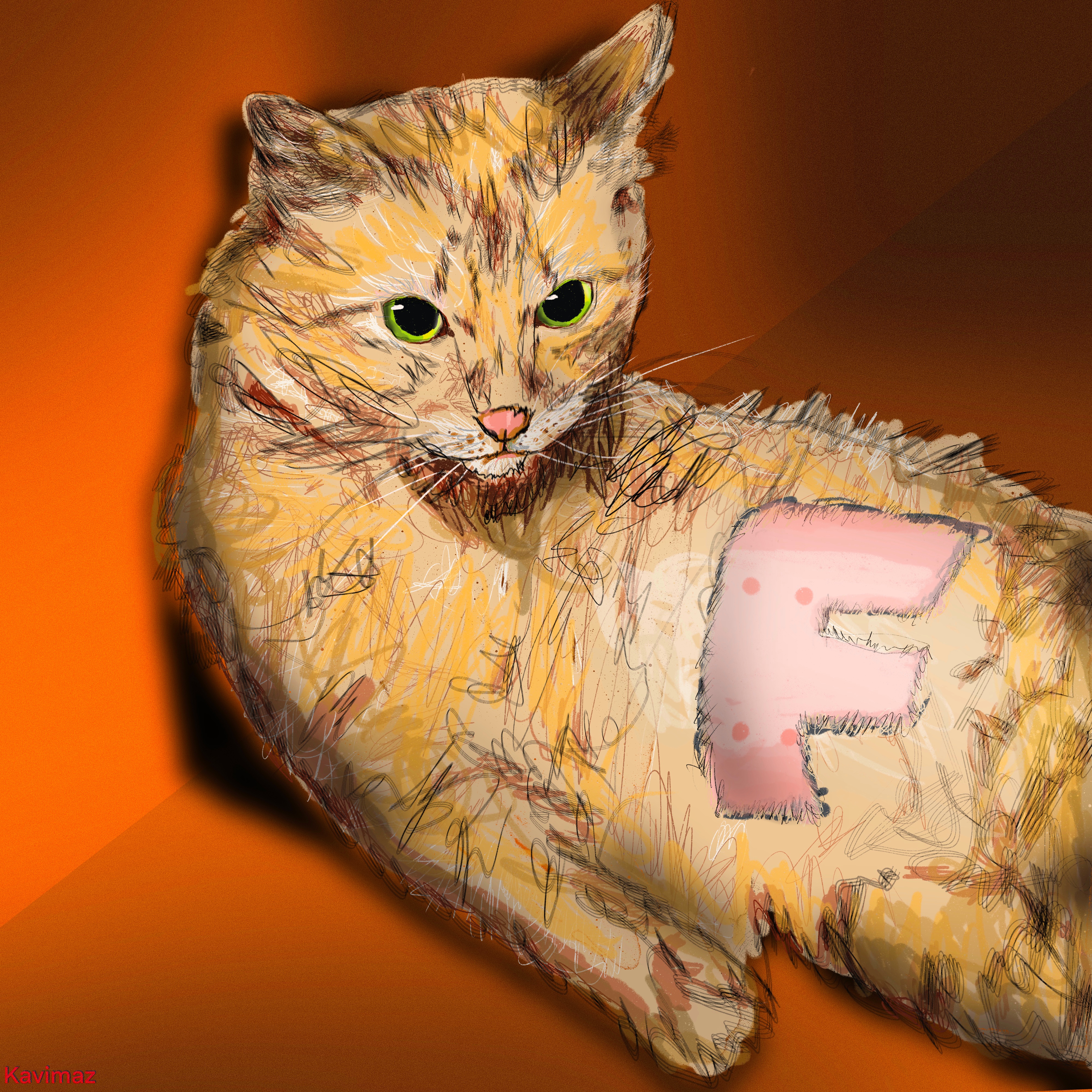 The F Collection | Foundation