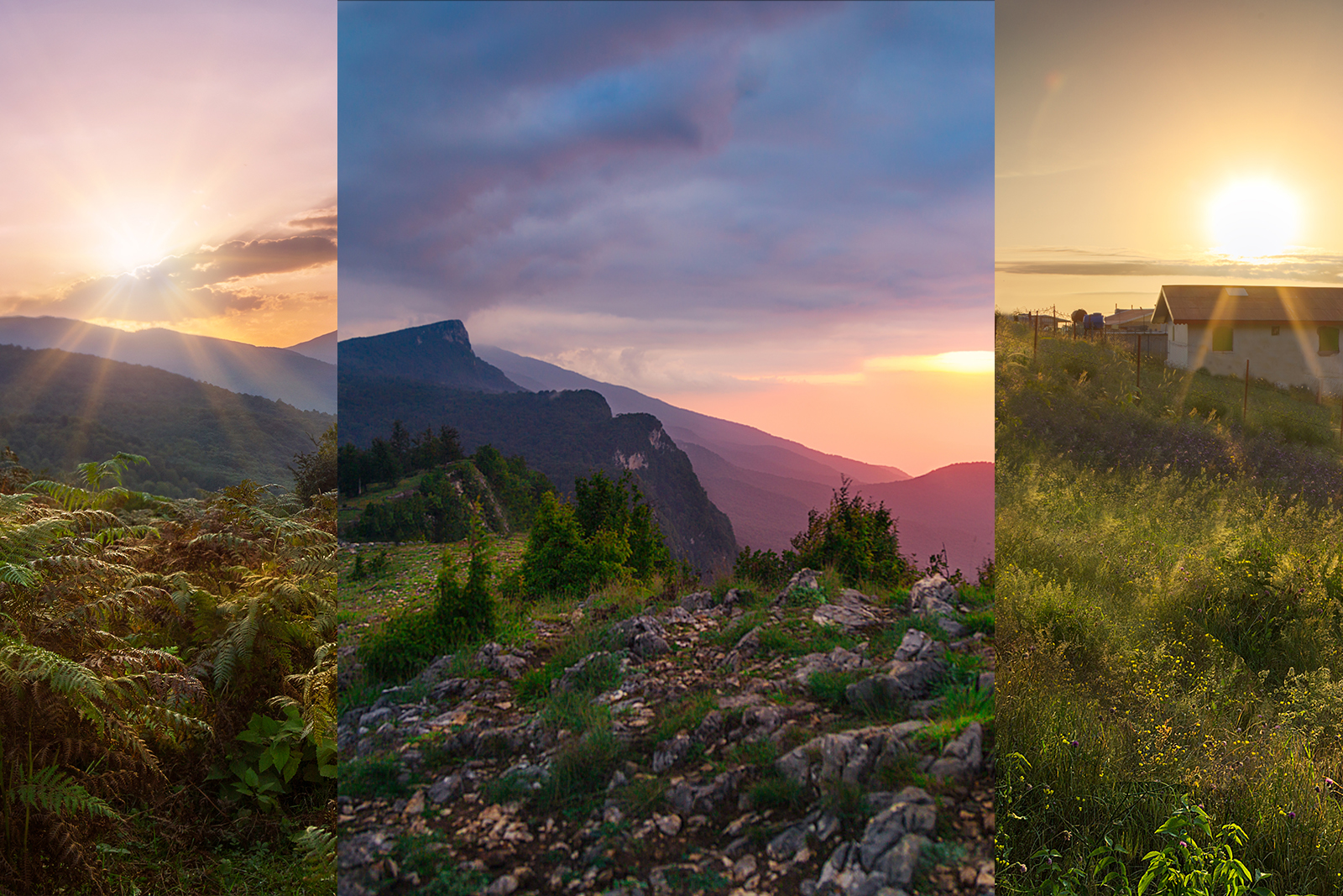 Panorama World | Foundation