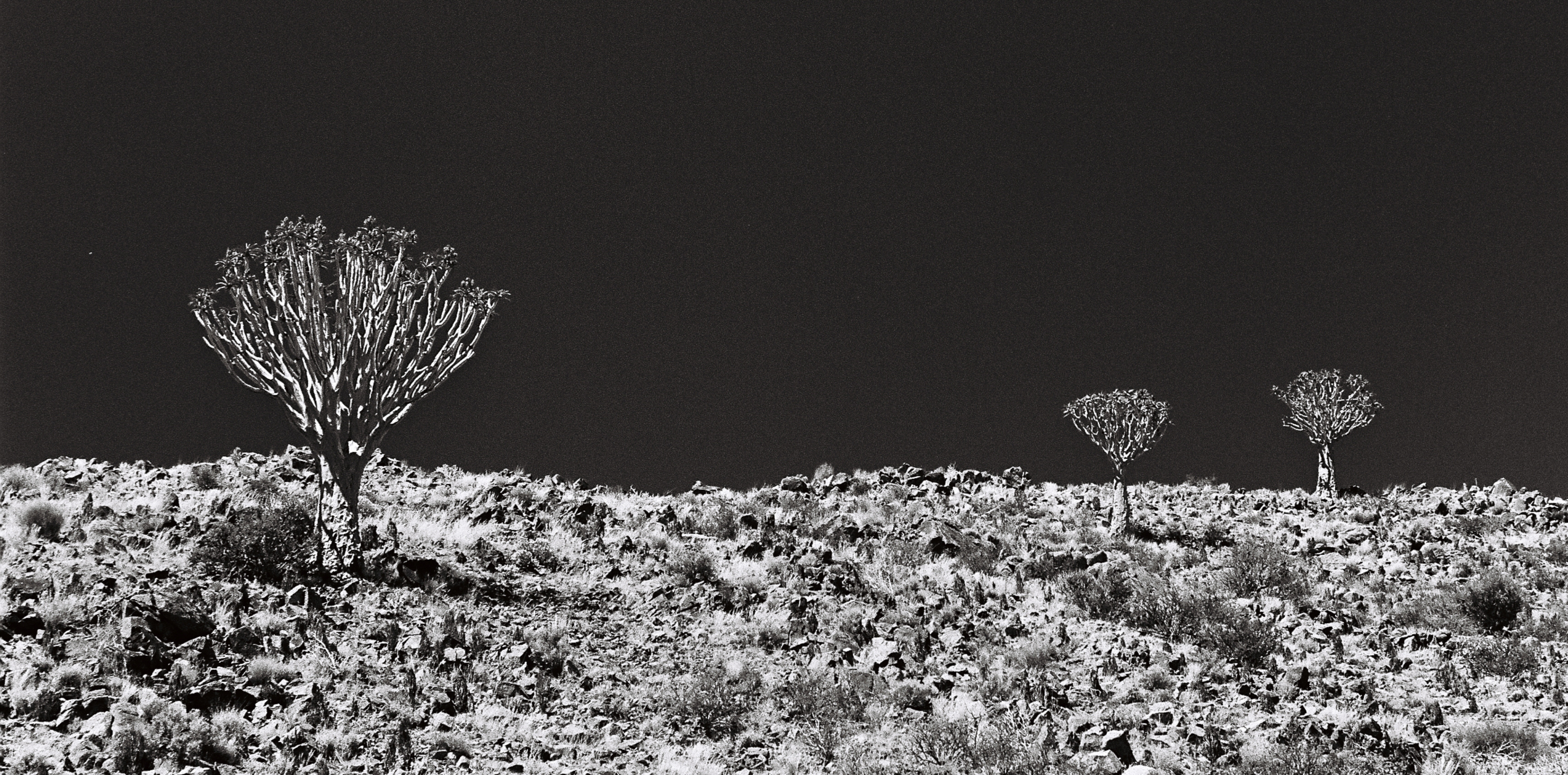 World of No Color | Foundation