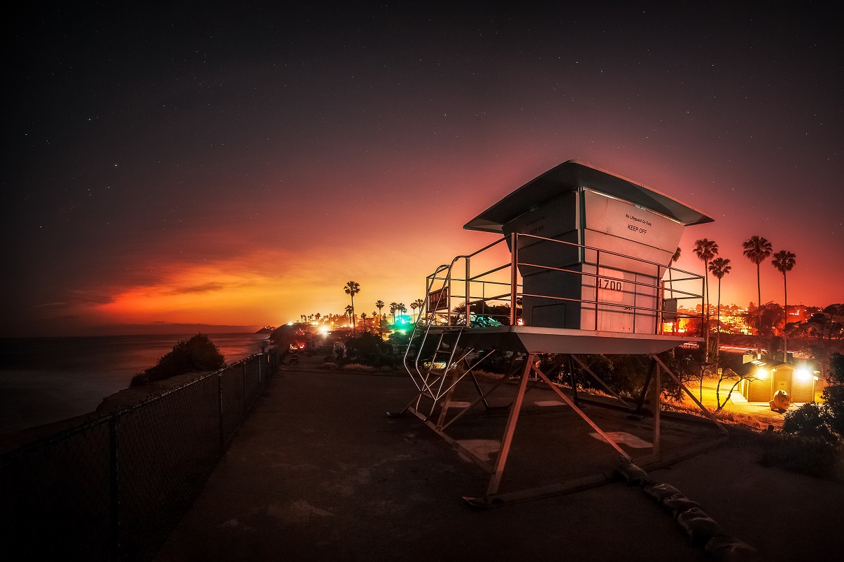 Steve Walasavage Collections | Foundation