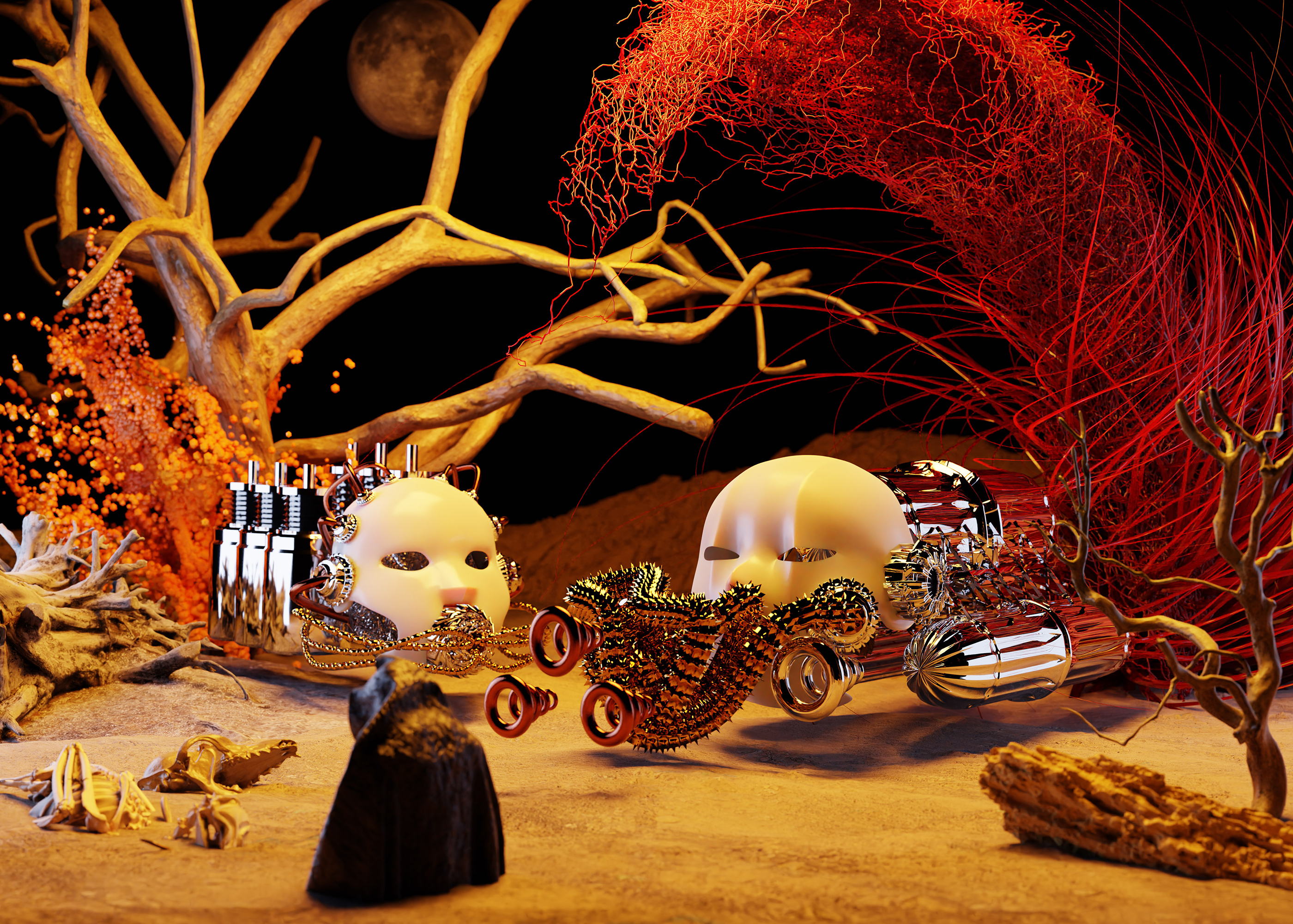 The Identity Project | Foundation