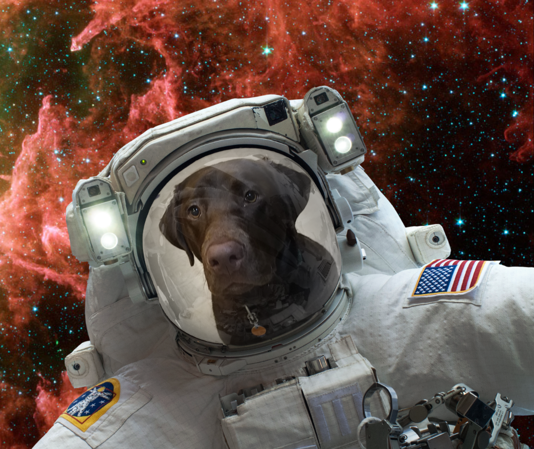 Foundation NFT Marketplace | Foundation