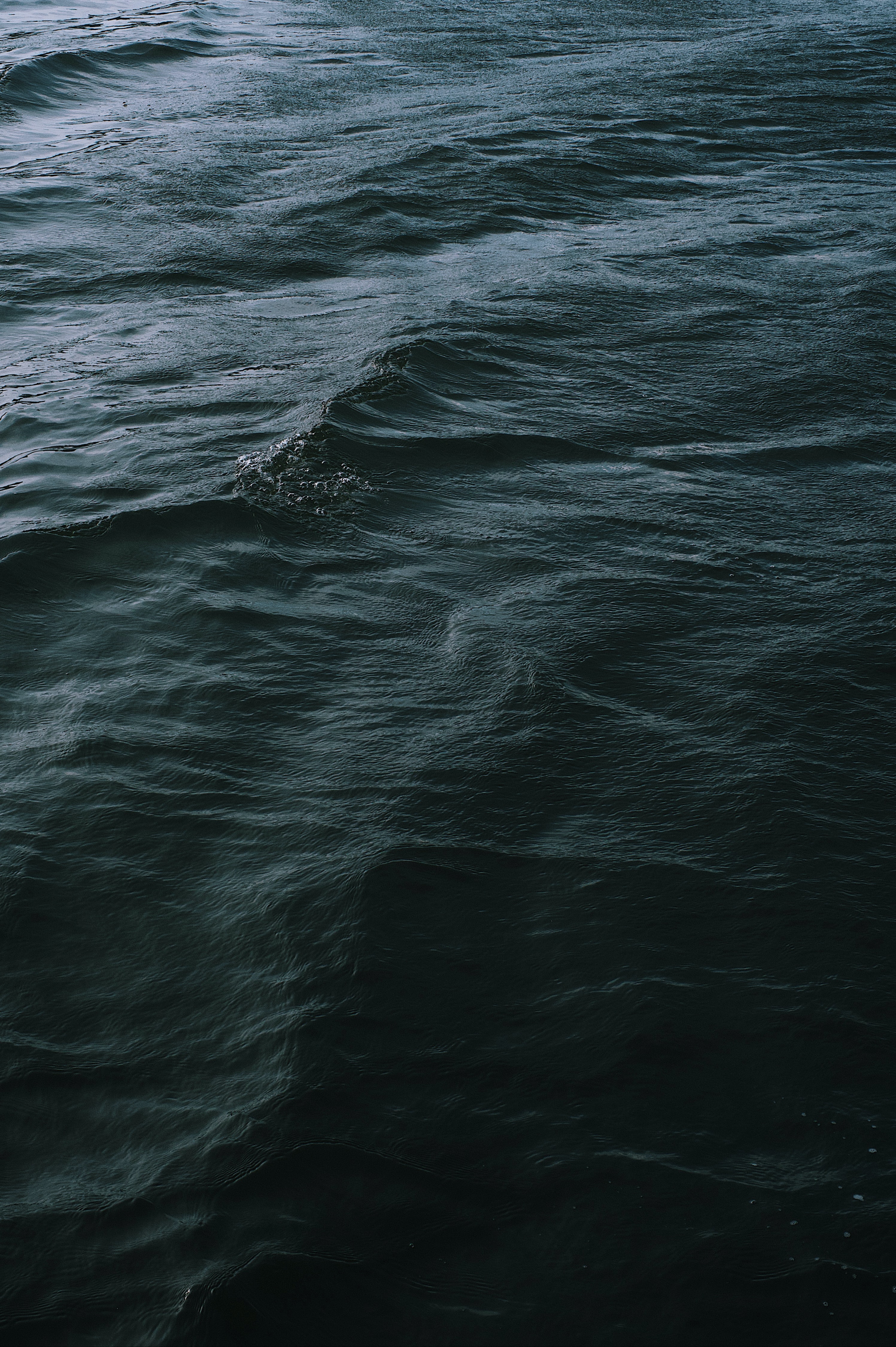 nighted (@nighted) | Foundation