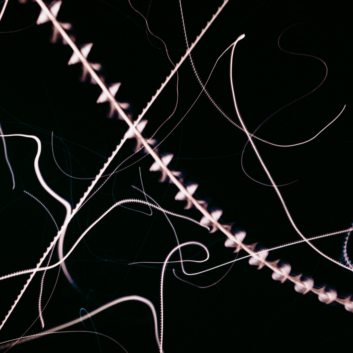 Cole Witter (@colewitter) | Foundation