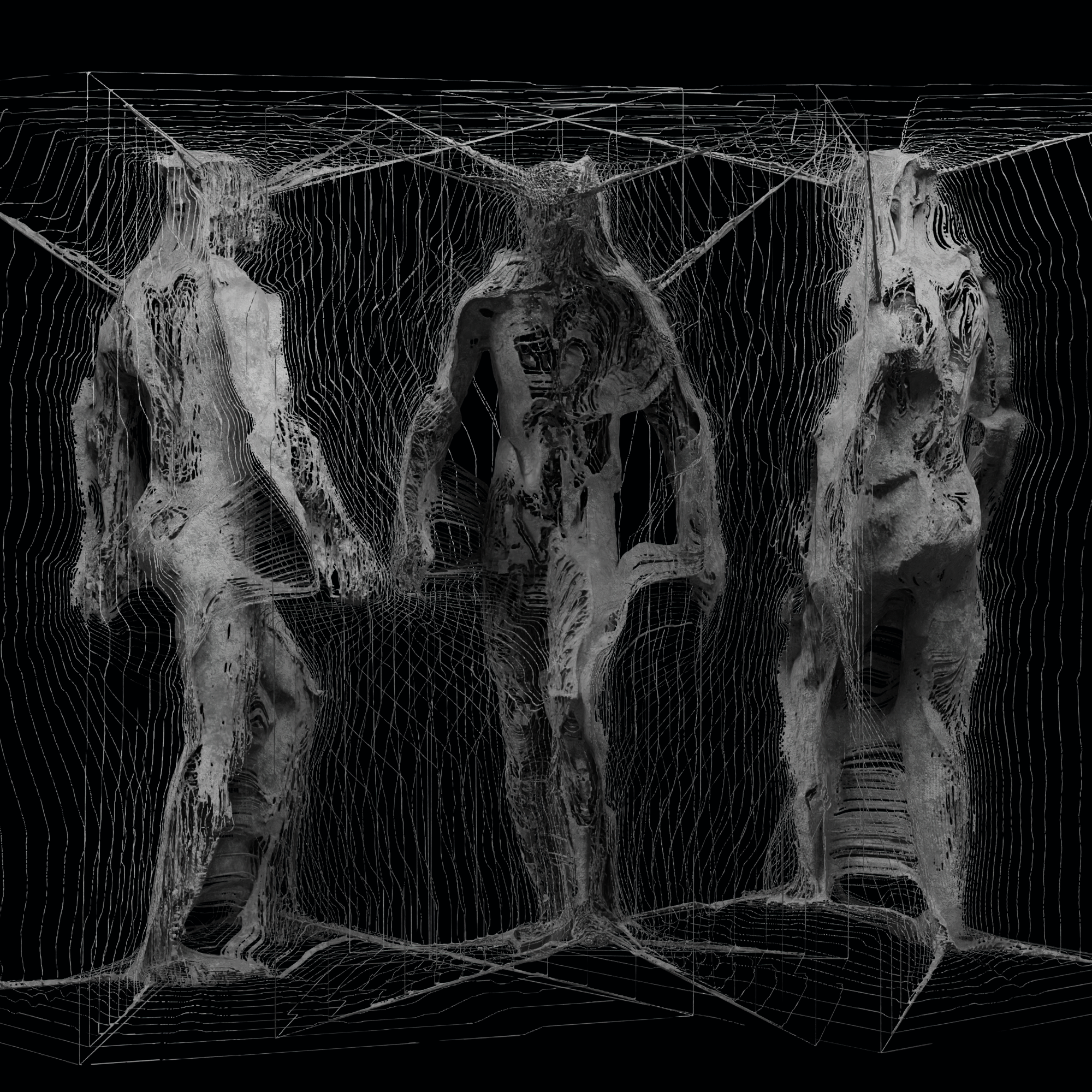 Morpho (@morpho) | Foundation