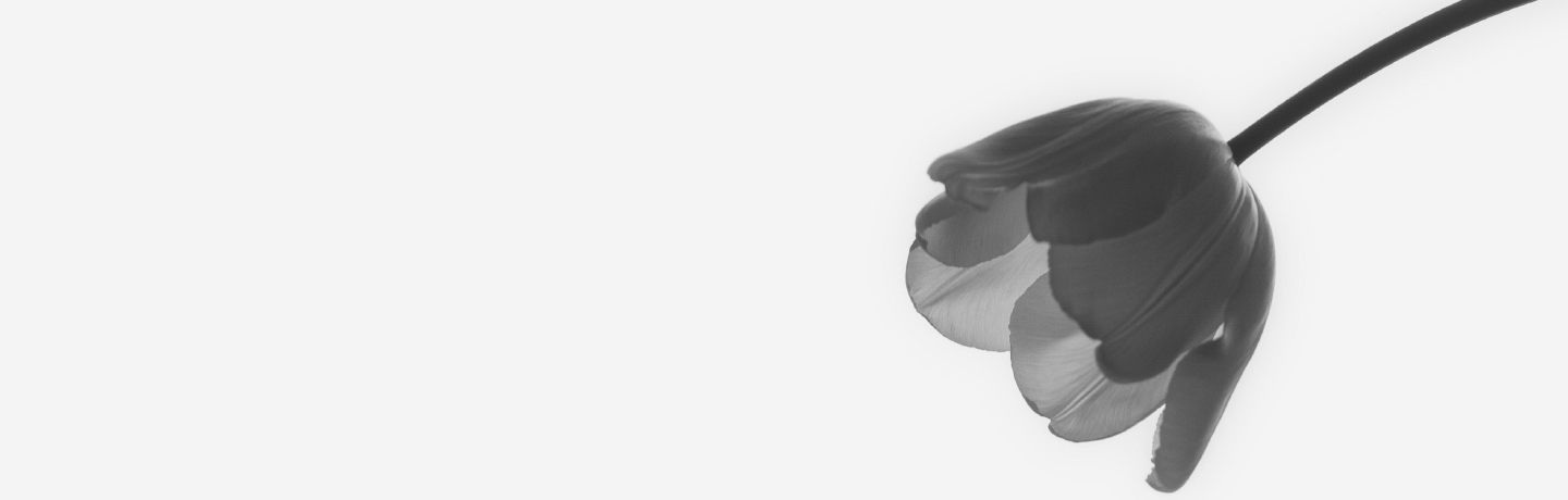 @YAMARI | Foundation