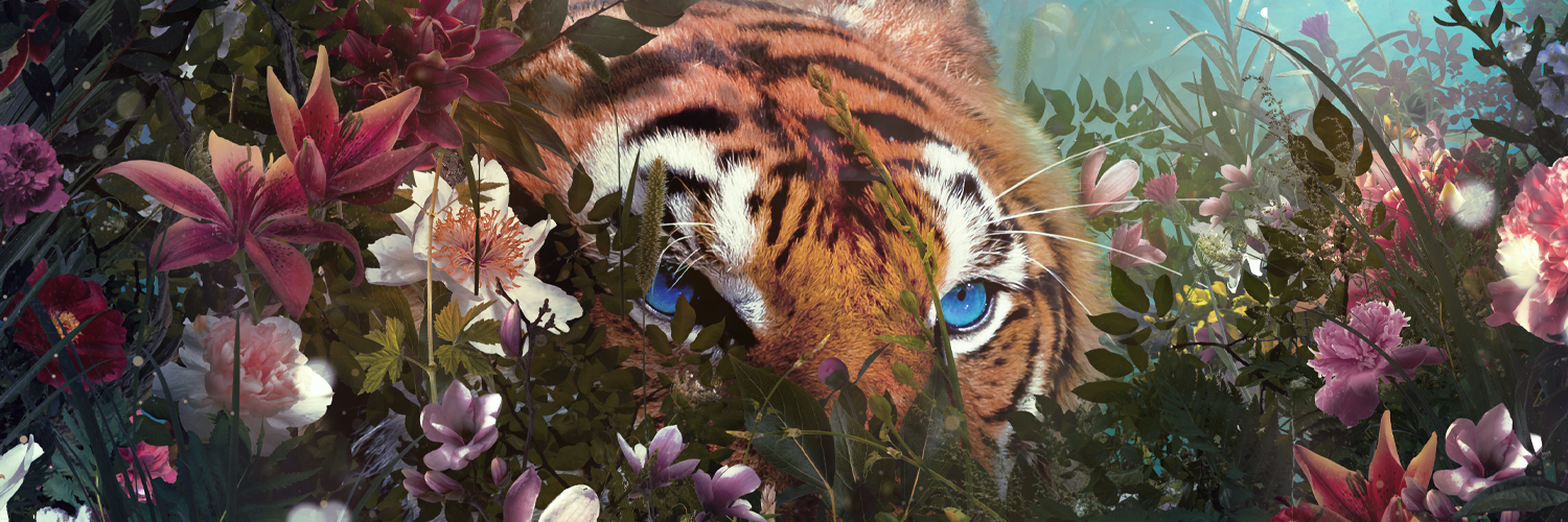 Andy okay (@andyokay) | Foundation