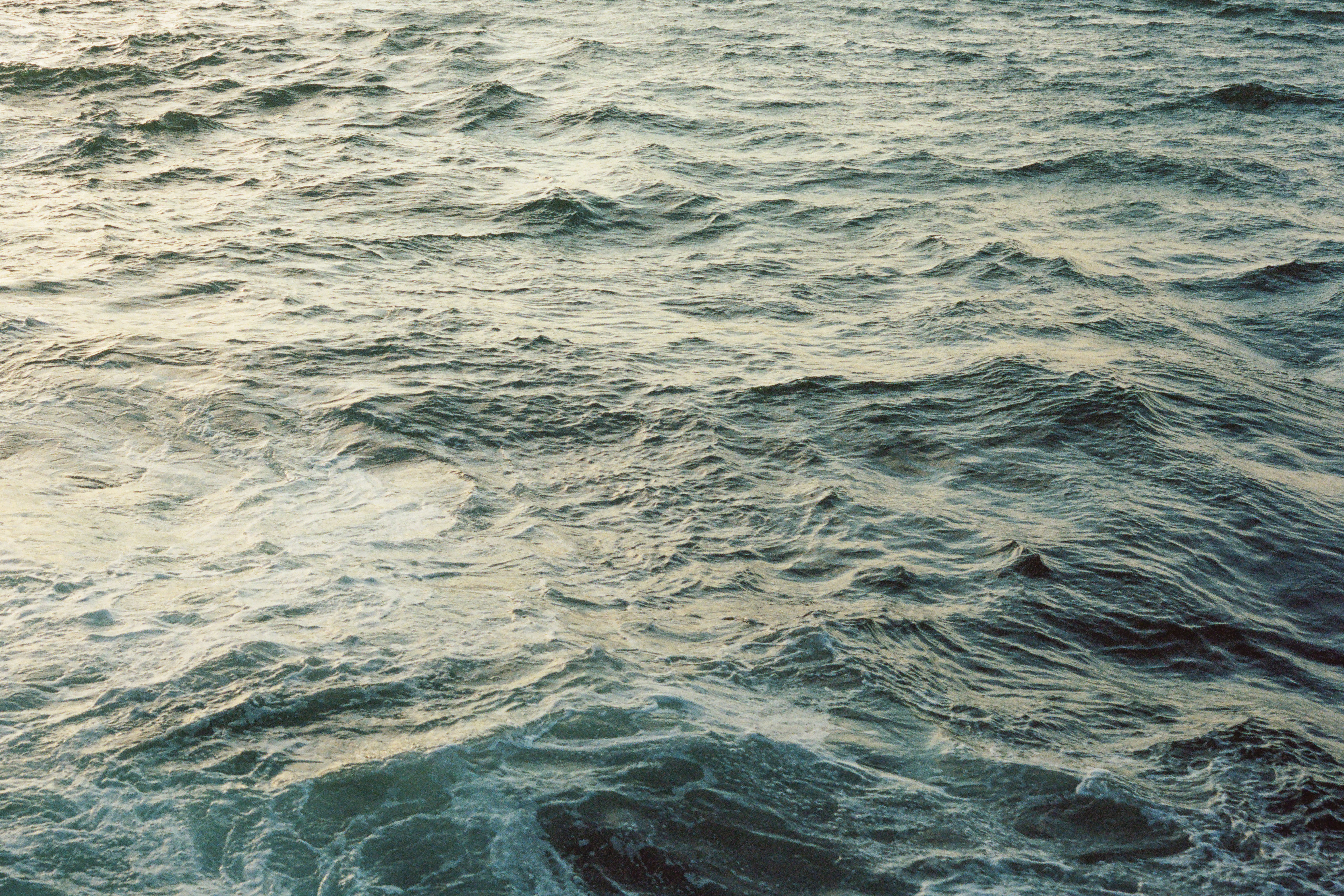 Kristopher Shinn (@kristophershinn) | Foundation