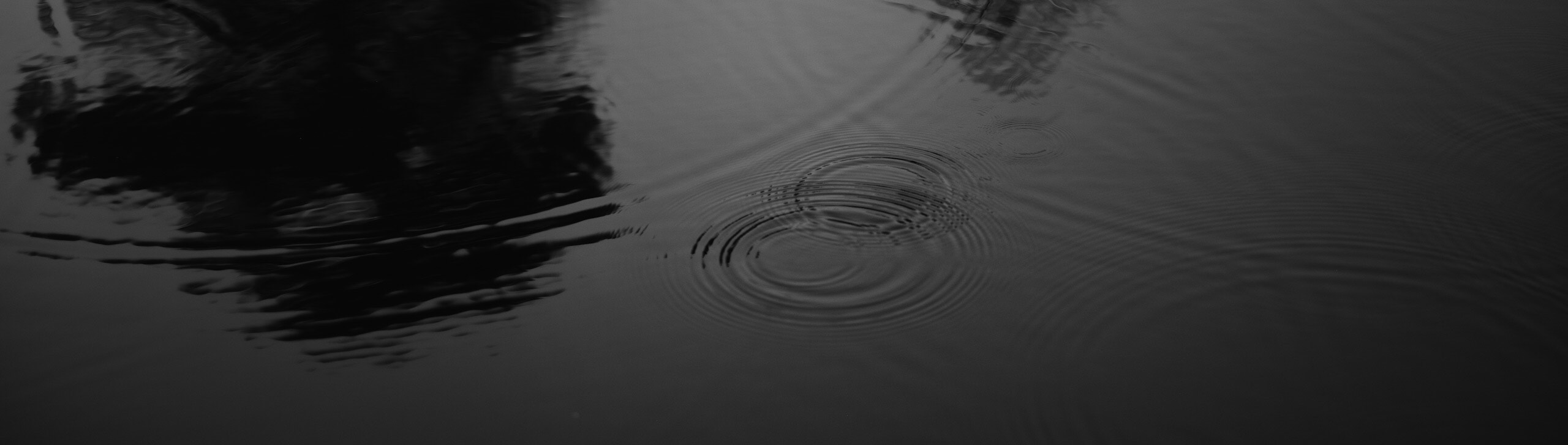 Simon Overton (@simo4) | Foundation