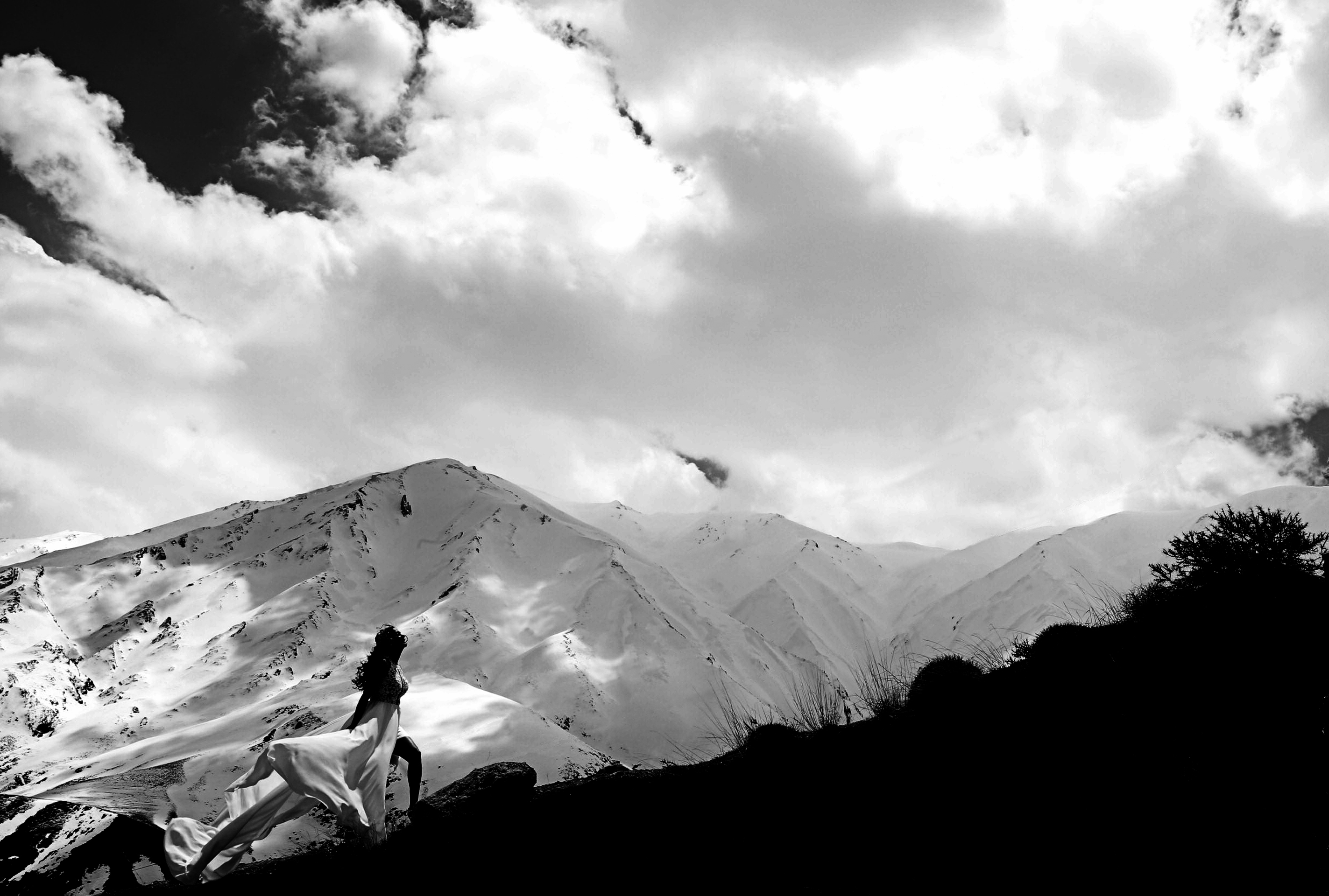 amir tabrizi (@nftamirtabrizi) | Foundation