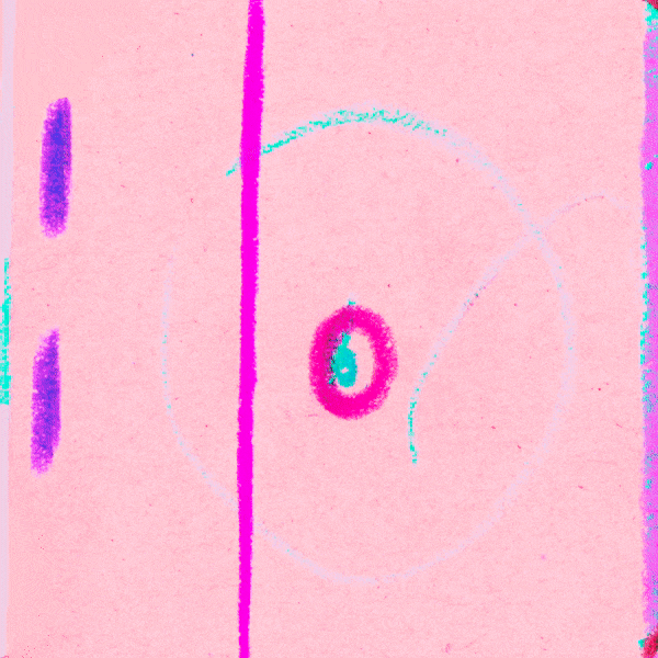 harifa (@saprobionts) | Foundation