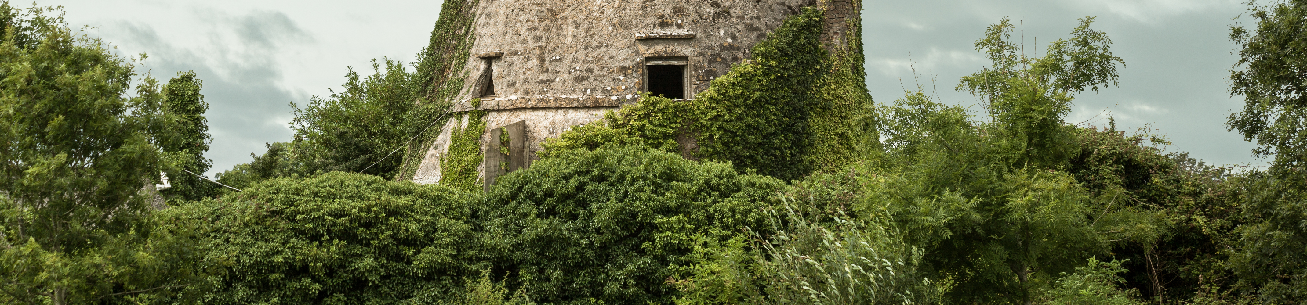 Michael Boran (@michael_boran) | Foundation