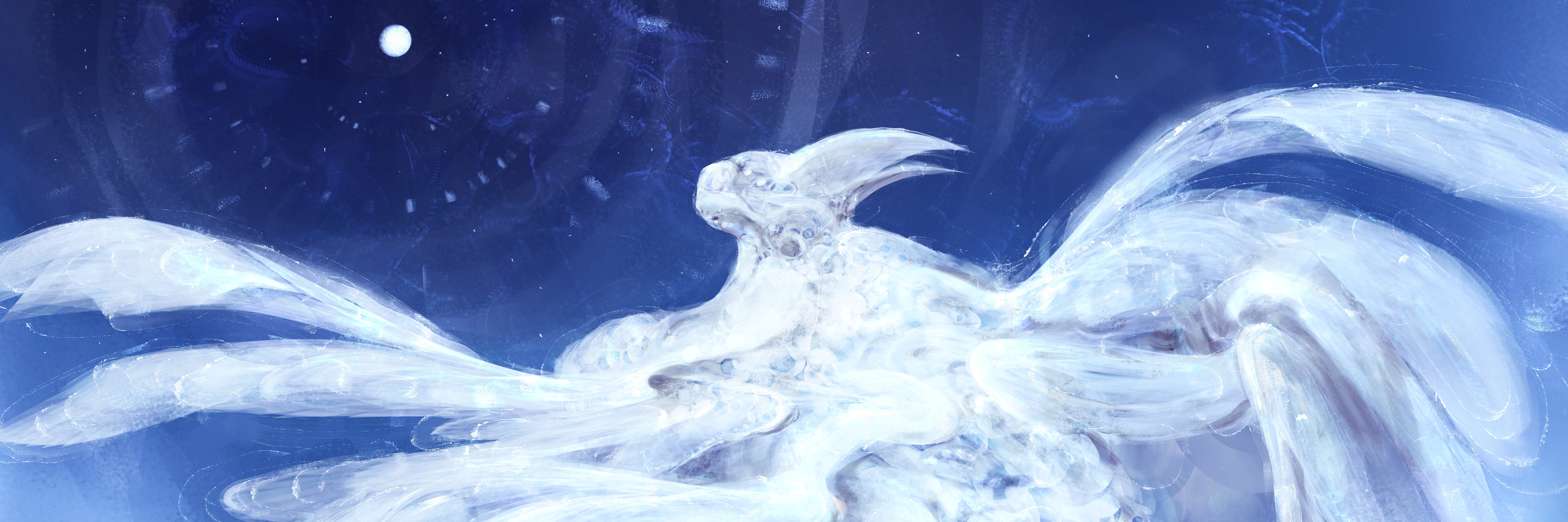 Ireen (@Ireen) | Foundation