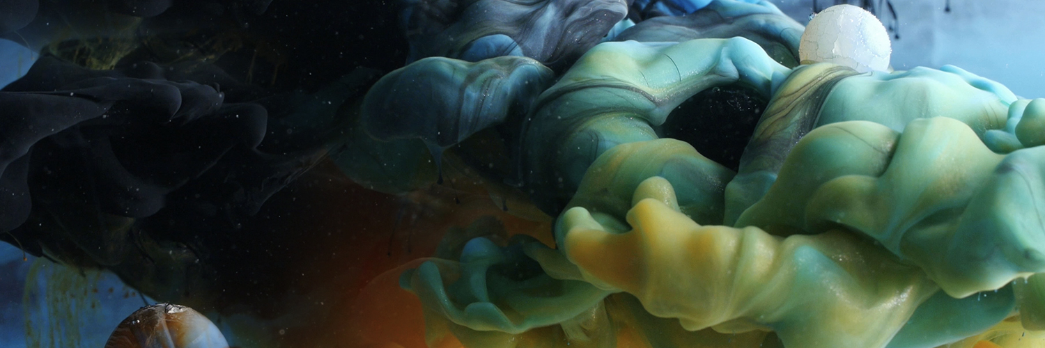 Macro Room (@macroroom) | Foundation