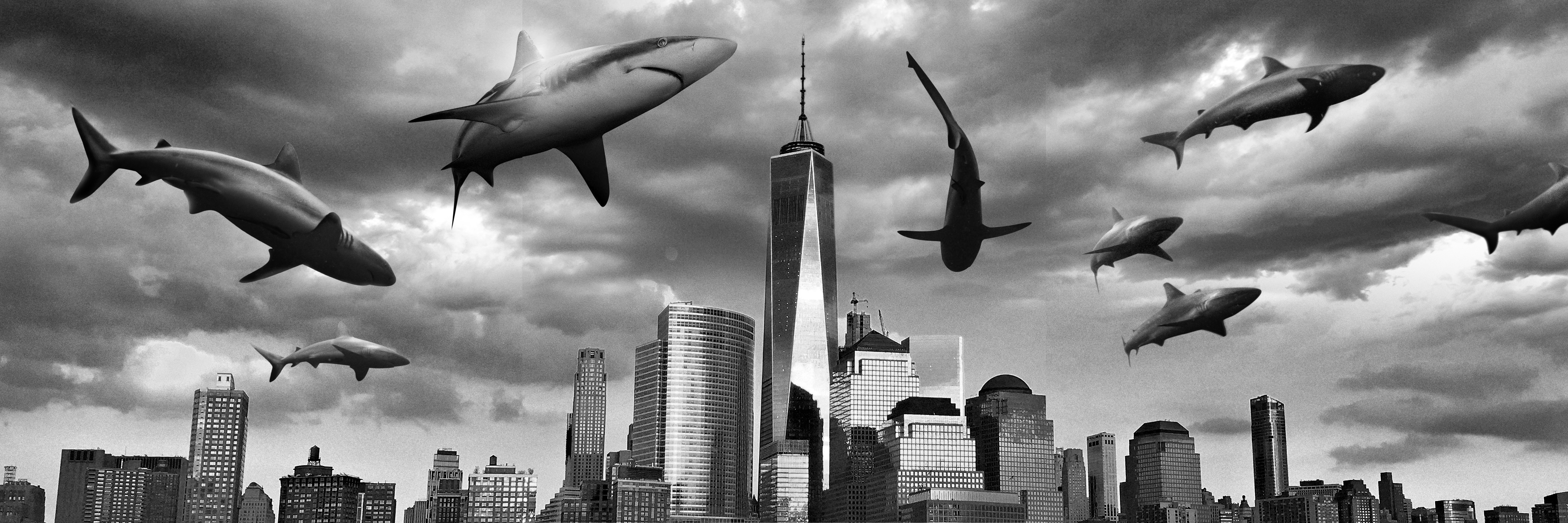 Anonymous. (@AnonymousNY) | Foundation