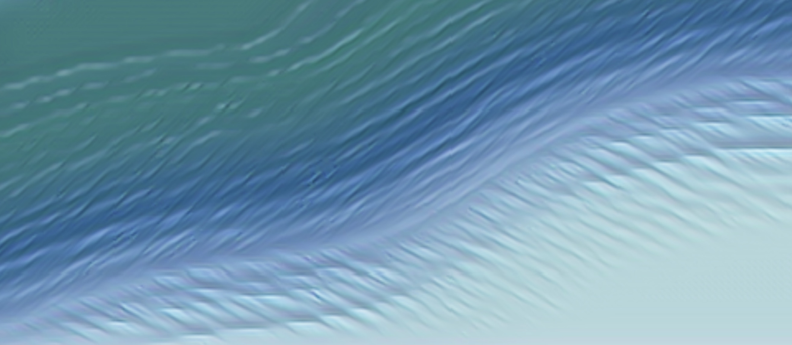 Sepidar (@Sepidar) | Foundation