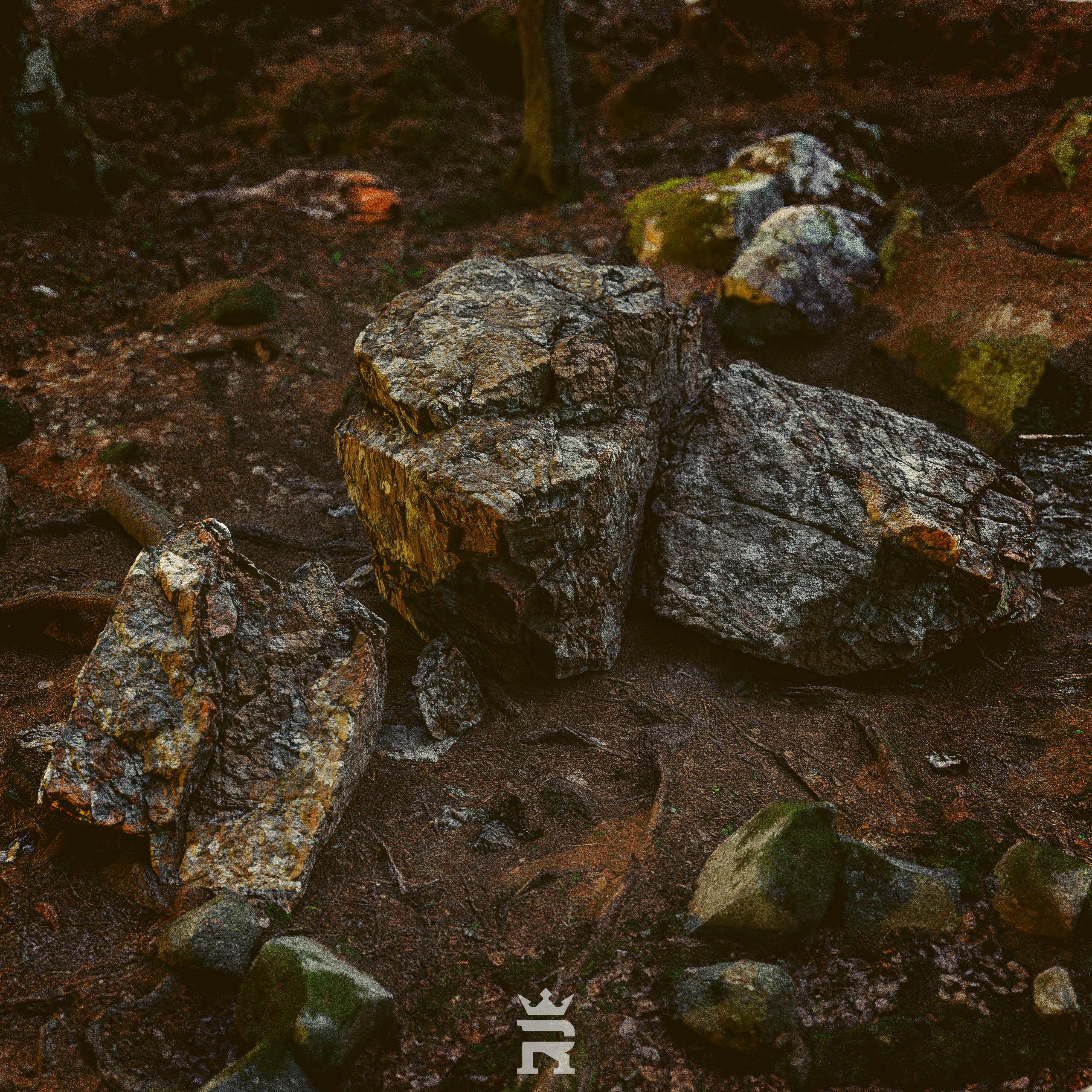 Renix (@Renix) | Foundation