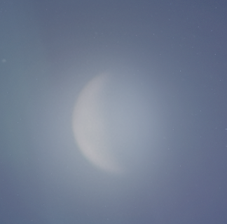 Nifu (@Nifu) | Foundation