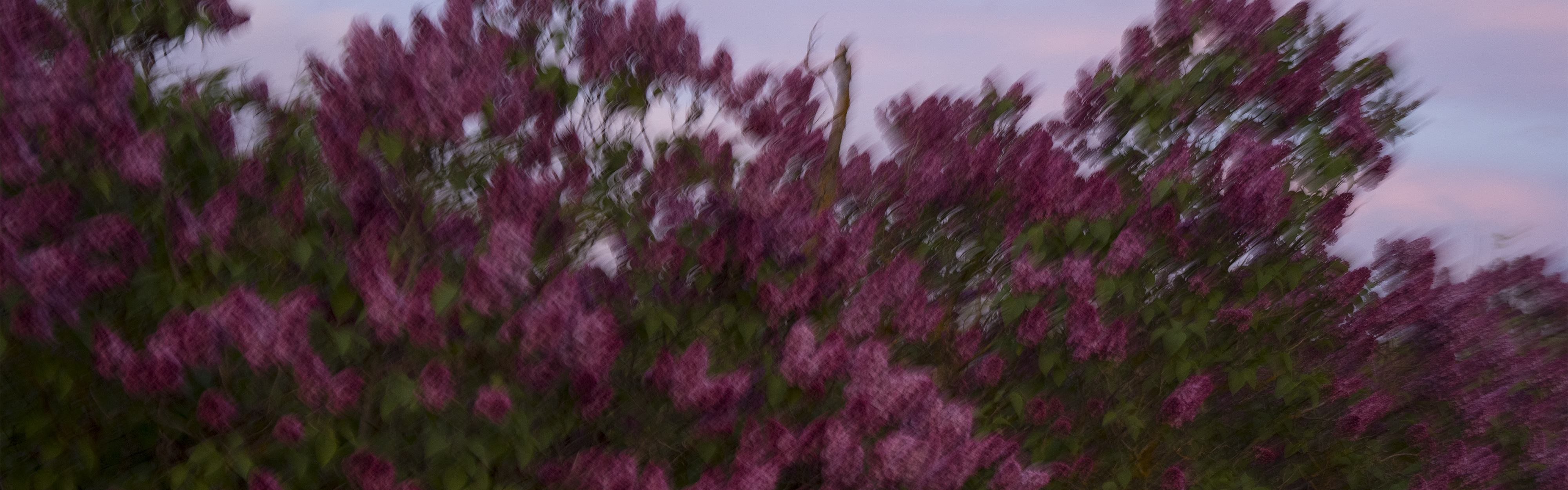 @YAMARI | Foundation