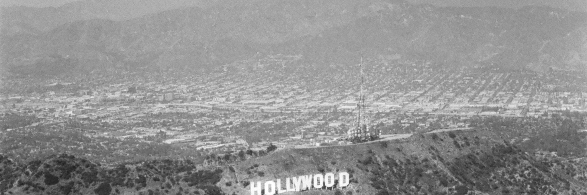 Moises Arias (@490tx) | Foundation