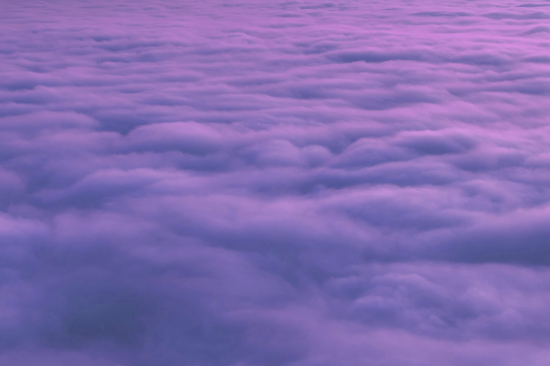 Moonlight Media (@moonlightmedia) | Foundation