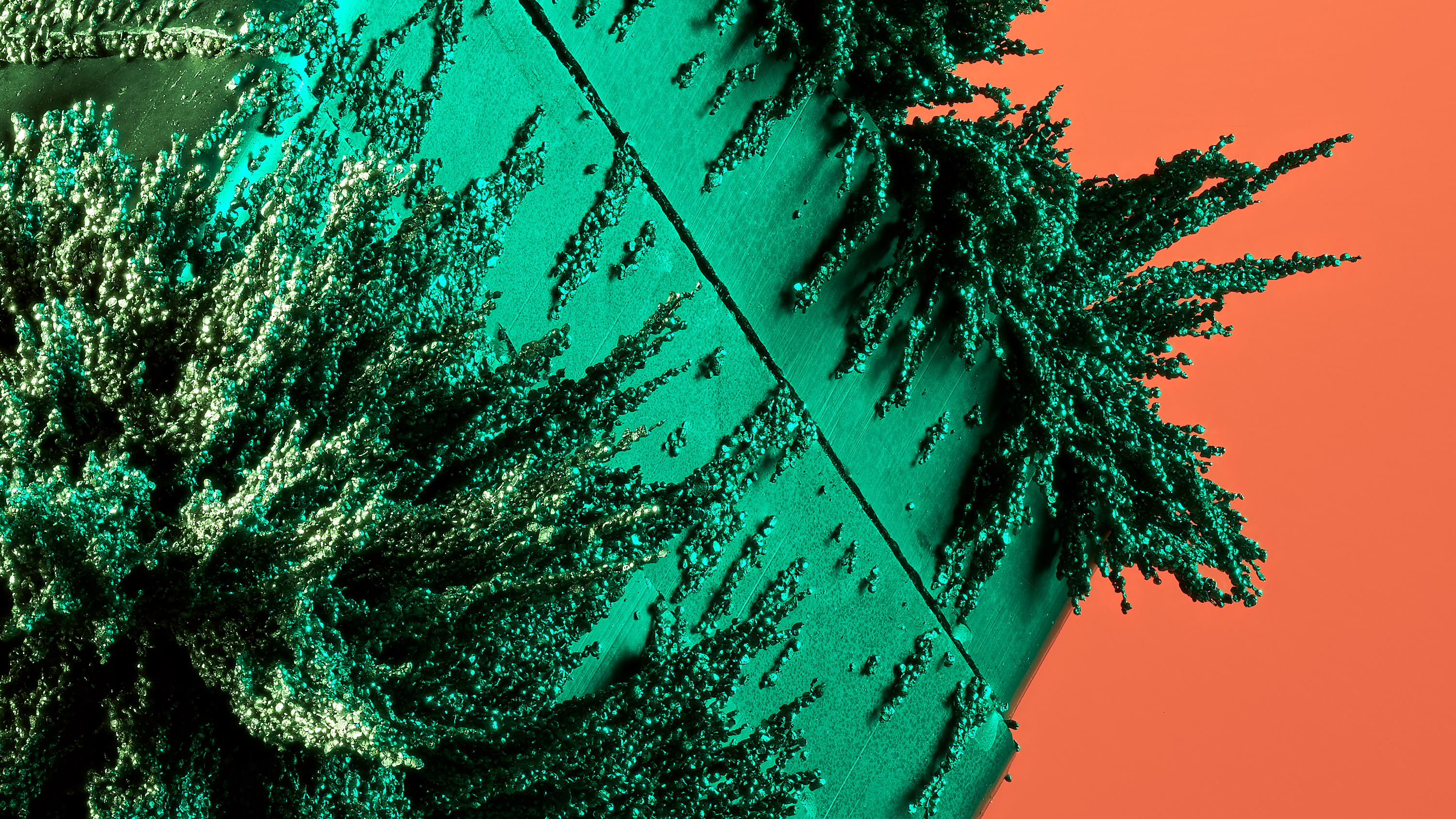 Zac Henderson (@Zendrson) | Foundation