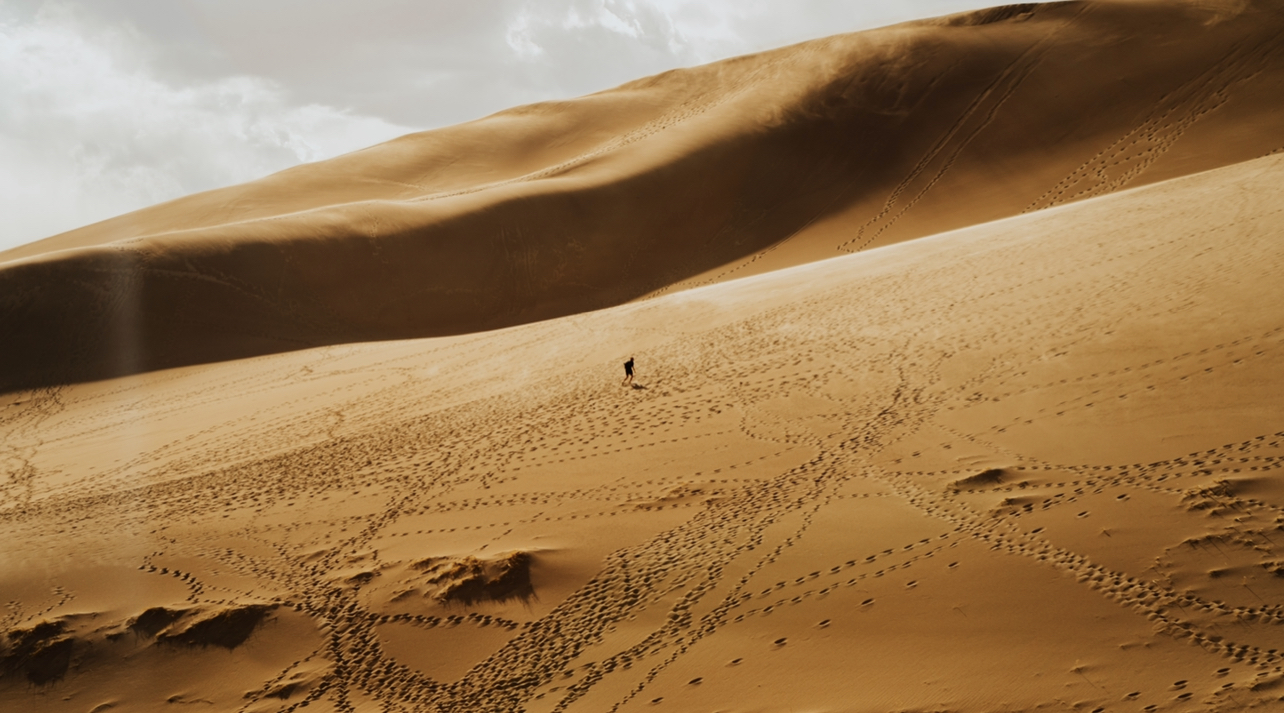 Collin Maple (@CollinMaple) | Foundation