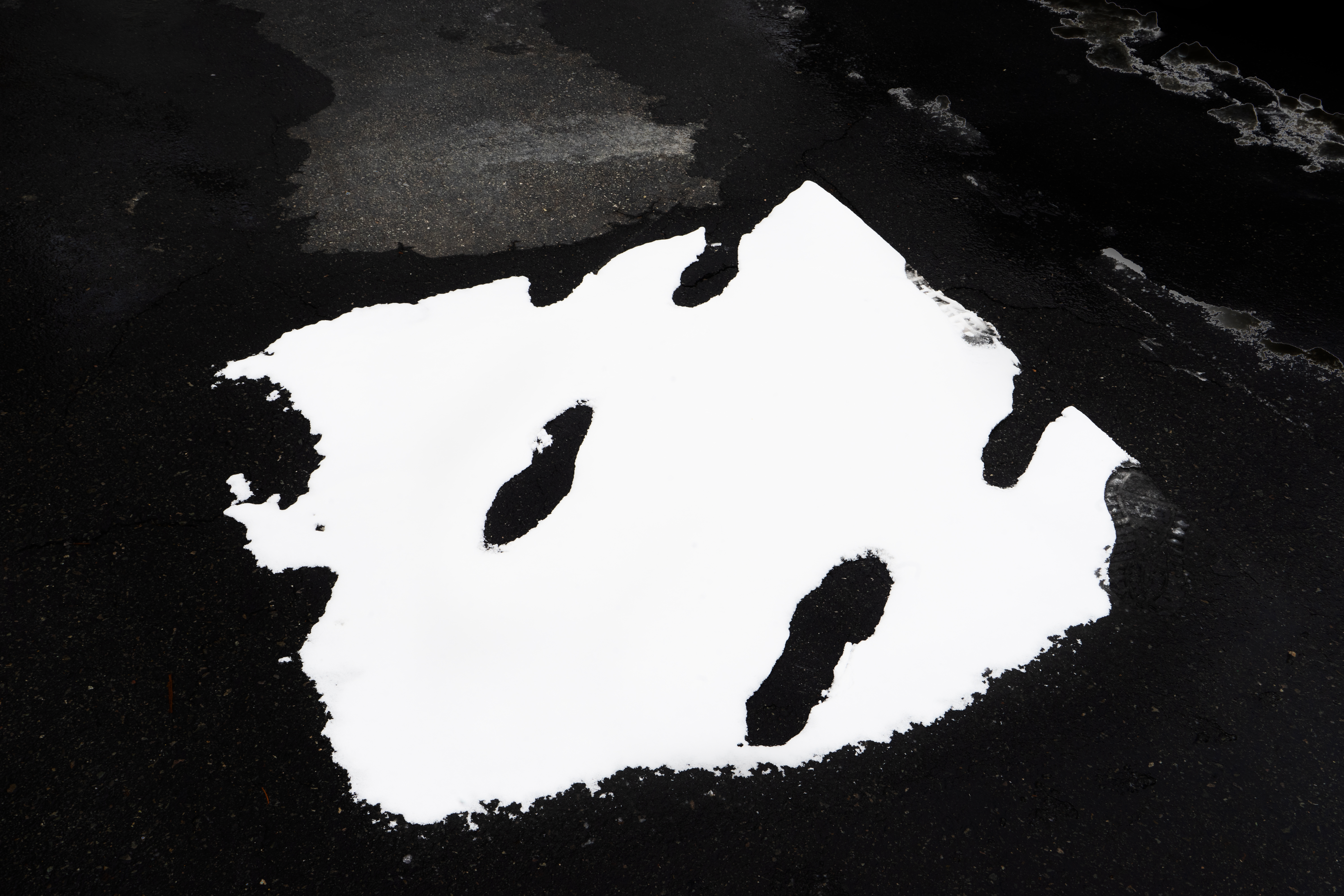 Amy Li (@amyli) | Foundation