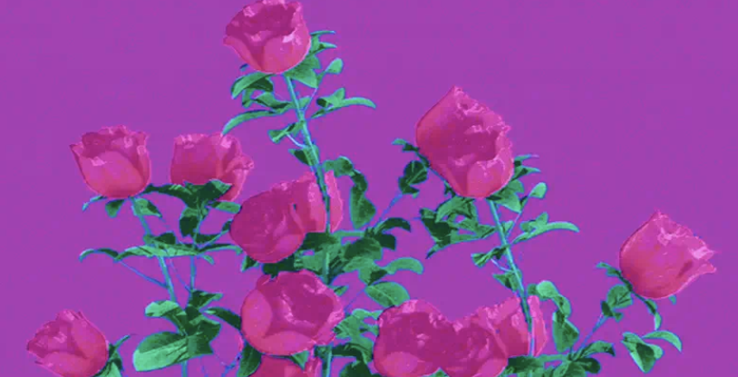 Mike Dougherty (@doughertym) | Foundation