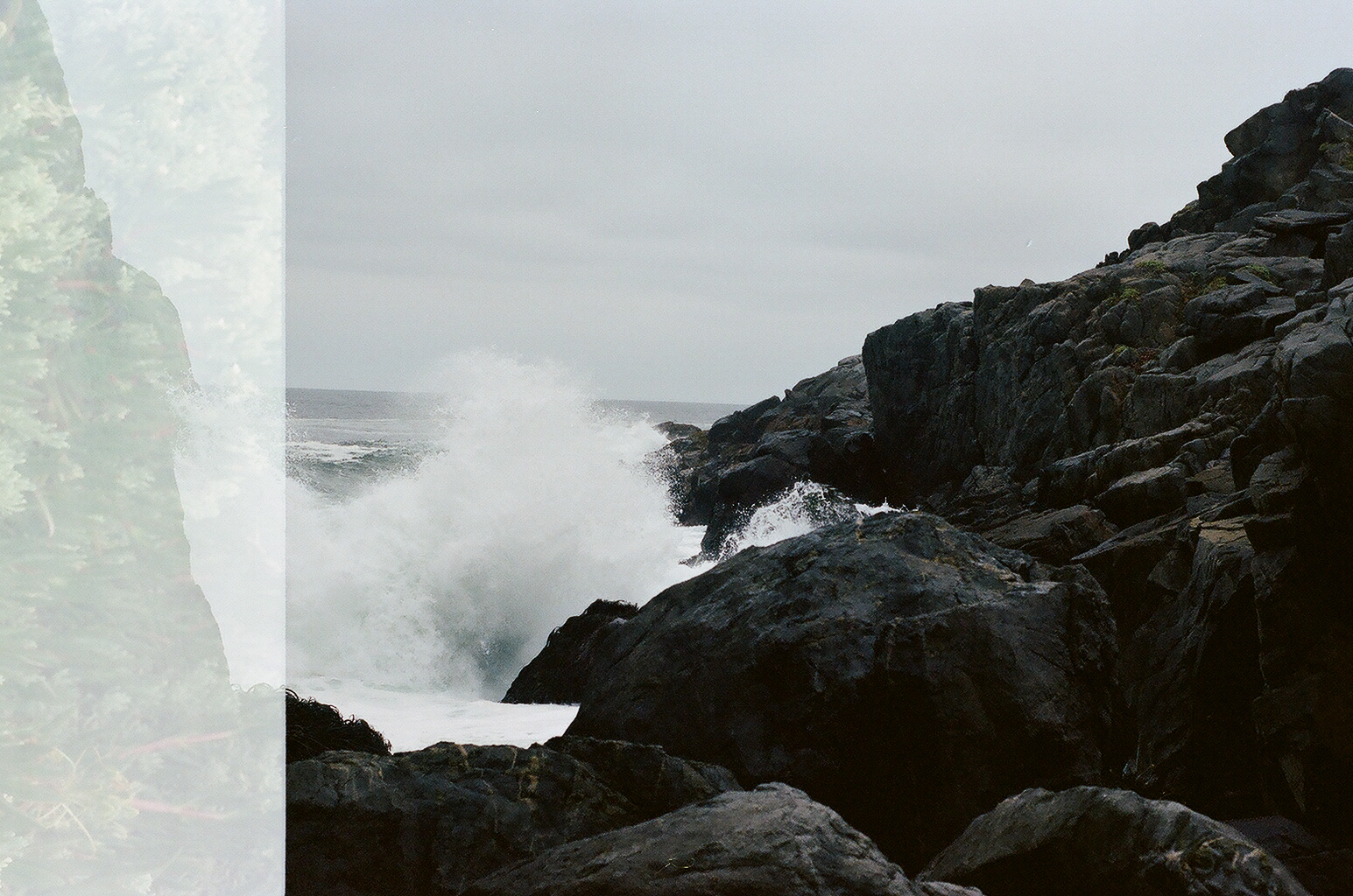 IGAL (@IGAL) | Foundation