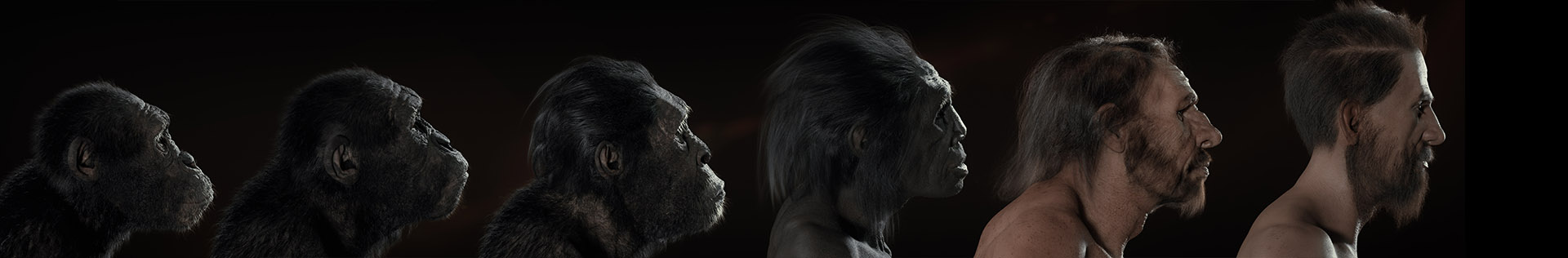 Arash Hadavi (@ArashHadavi) | Foundation